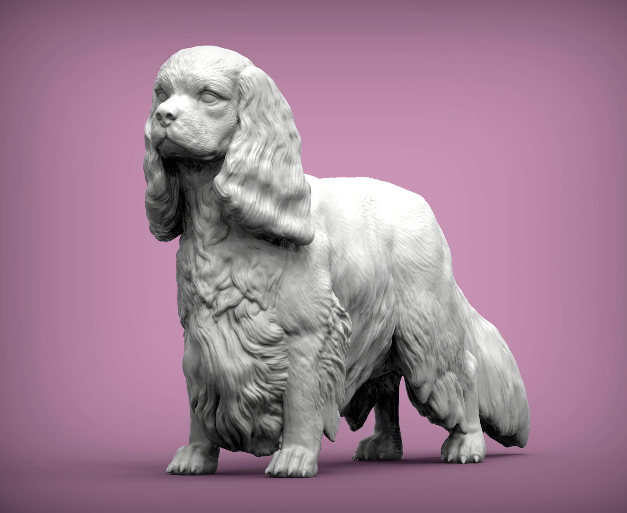 Spaniel Cavalier King Charles 3D Print Model by Alexander3dart