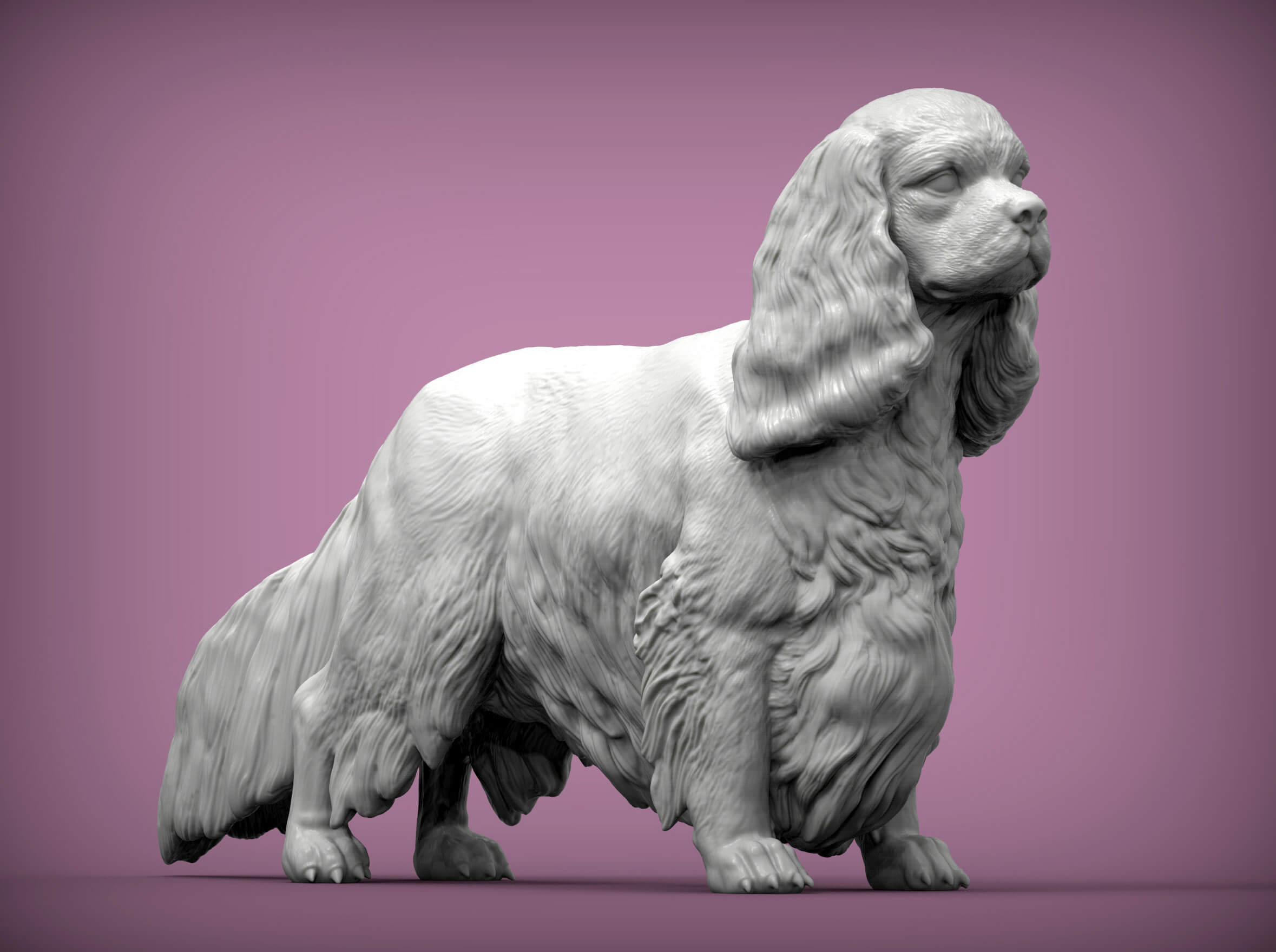 Spaniel Cavalier King Charles 3D Print Model by Alexander3dart
