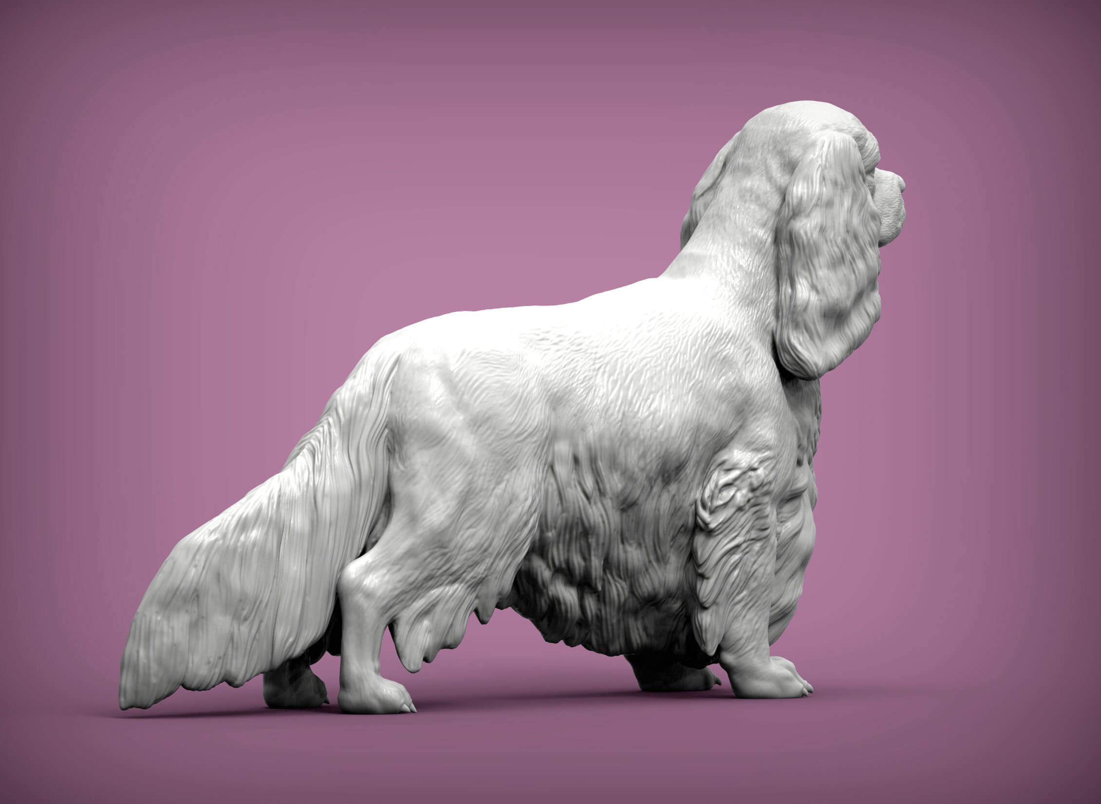 Spaniel Cavalier King Charles 3D Print Model by Alexander3dart