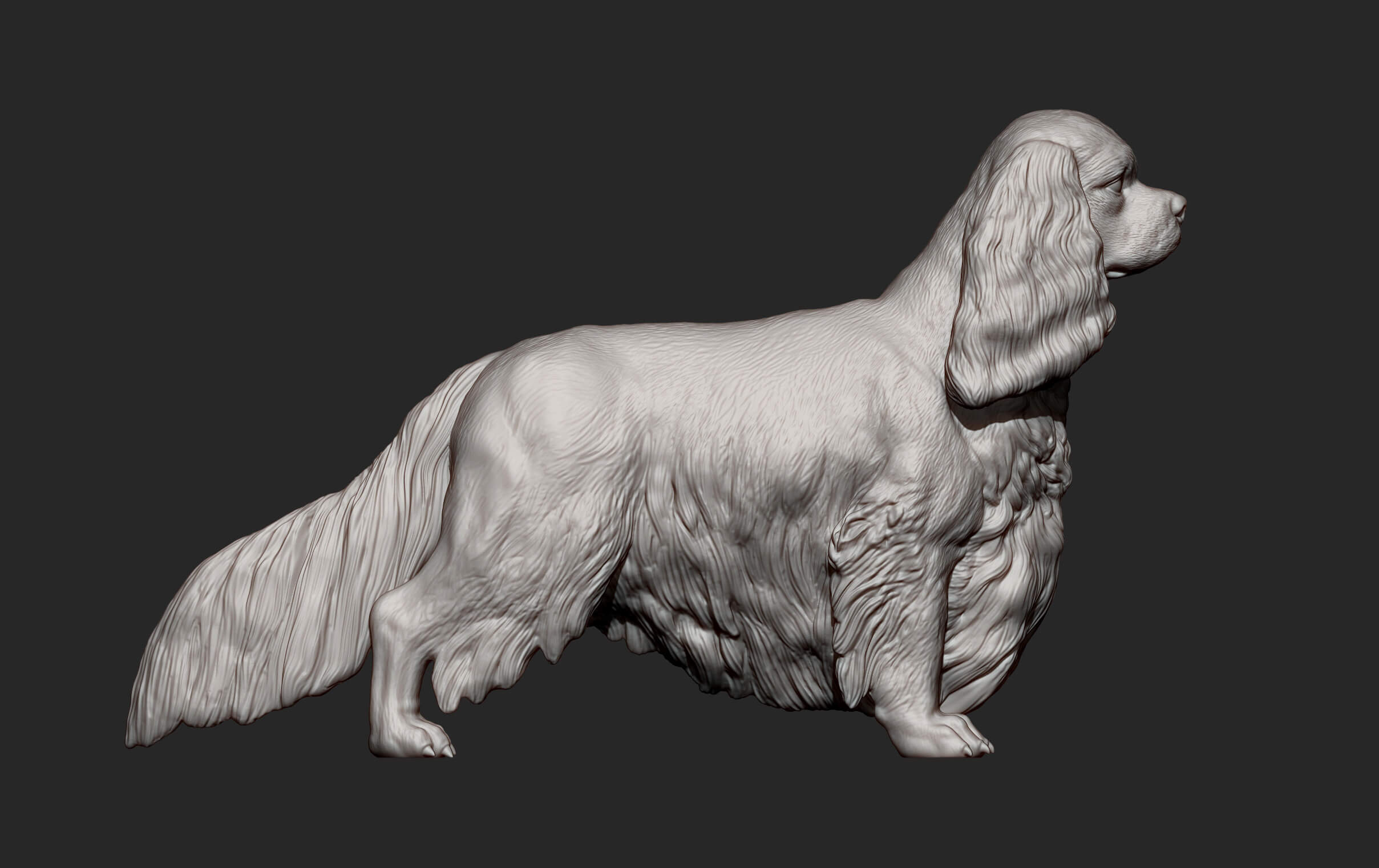 Spaniel Cavalier King Charles 3D Print Model by Alexander3dart