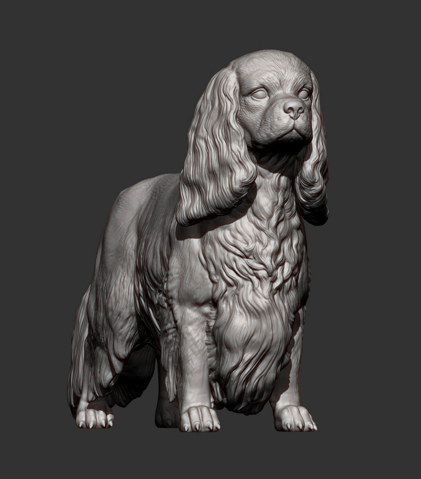 Spaniel Cavalier King Charles 3D Print Model by Alexander3dart