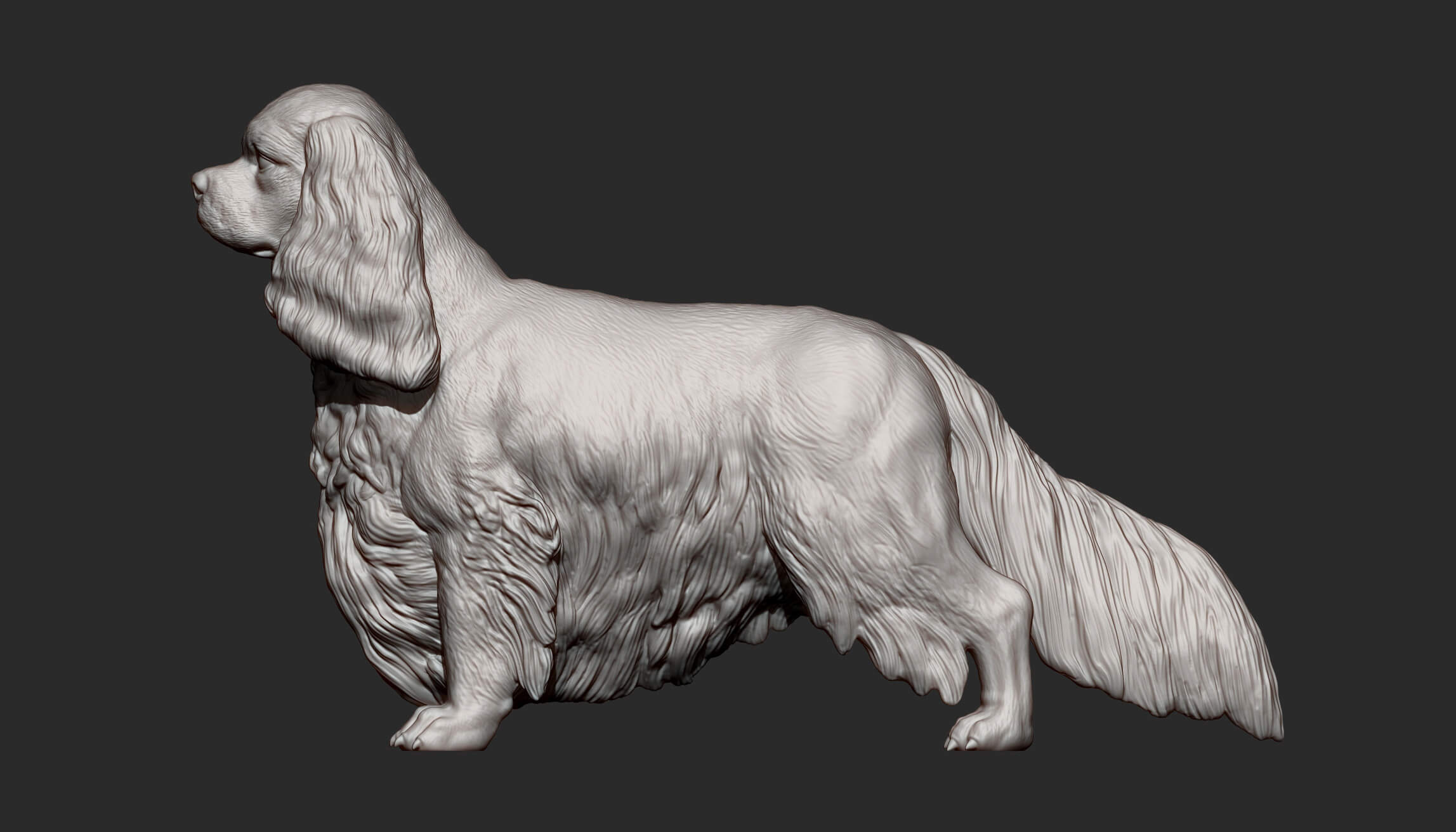 Spaniel Cavalier King Charles 3D Print Model by Alexander3dart