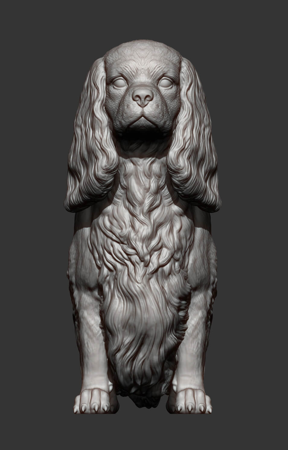 Spaniel Cavalier King Charles 3D Print Model by Alexander3dart