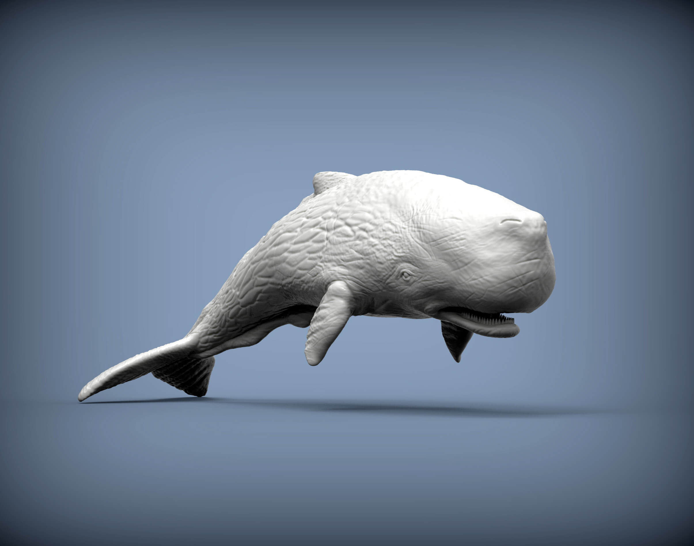 Sperm Whale Sculpt - 3D Model by Alexander3dart