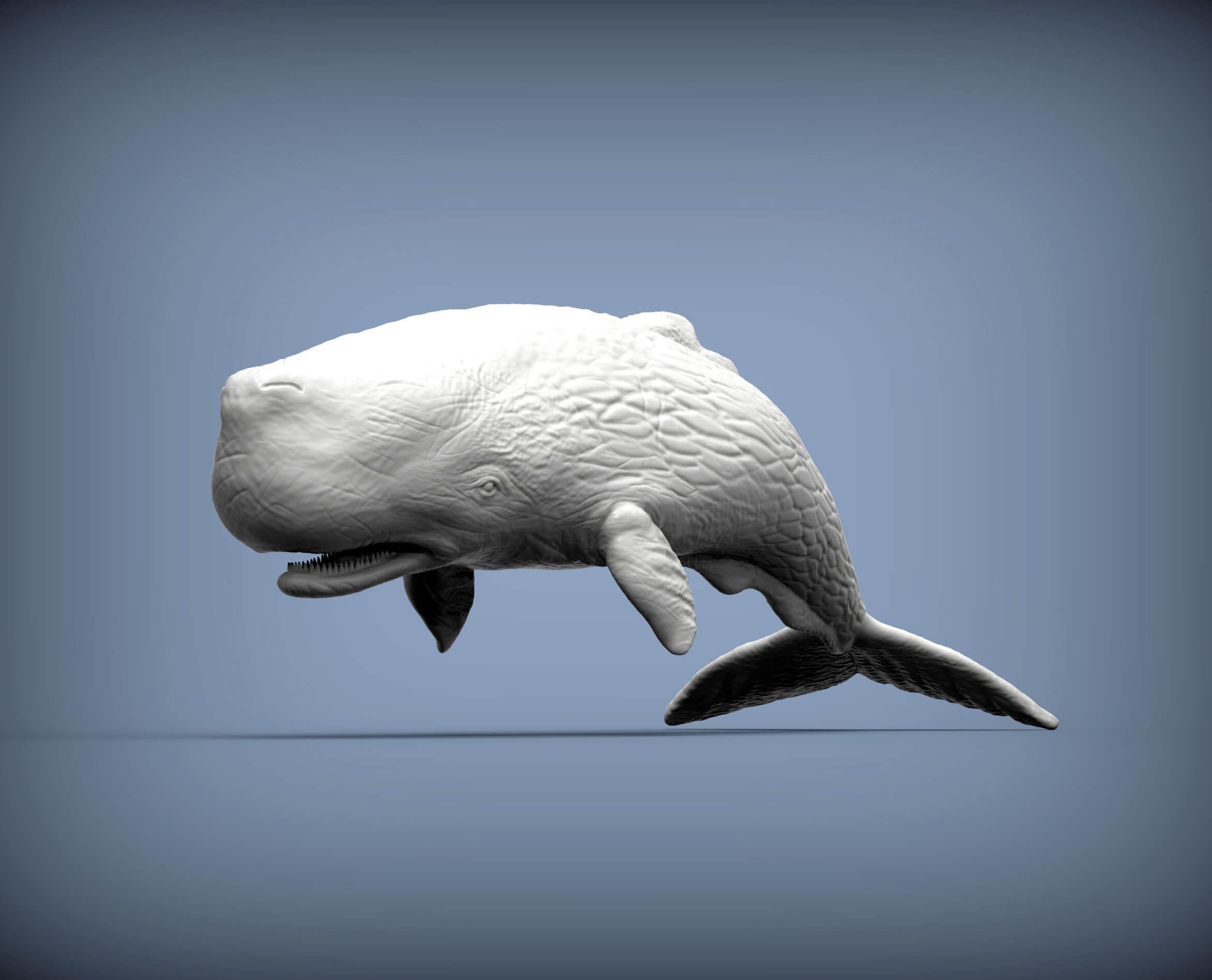 Sperm Whale Sculpt - 3D Model by Alexander3dart