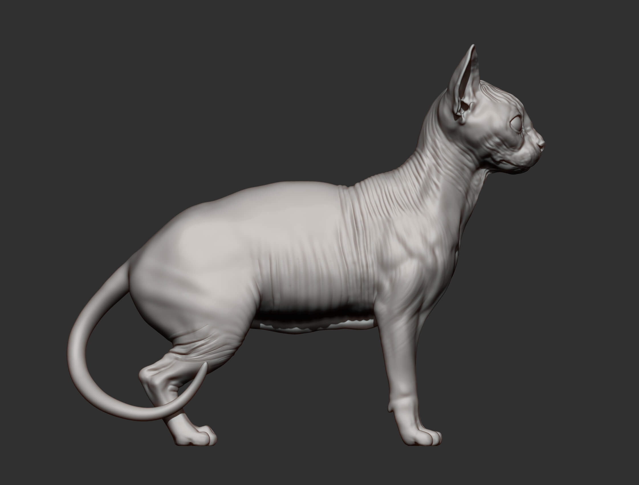 Sphinx Cat Sculpture - 3D Model by Alexander3dart