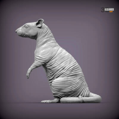 Sphinx Rat Stands on Its Hind Legs - 3D Model by Alexander3dart