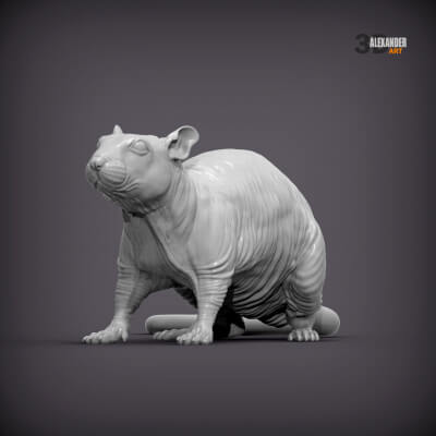 Sphinx Rat Sculpture - 3D Model by Alexander3dart