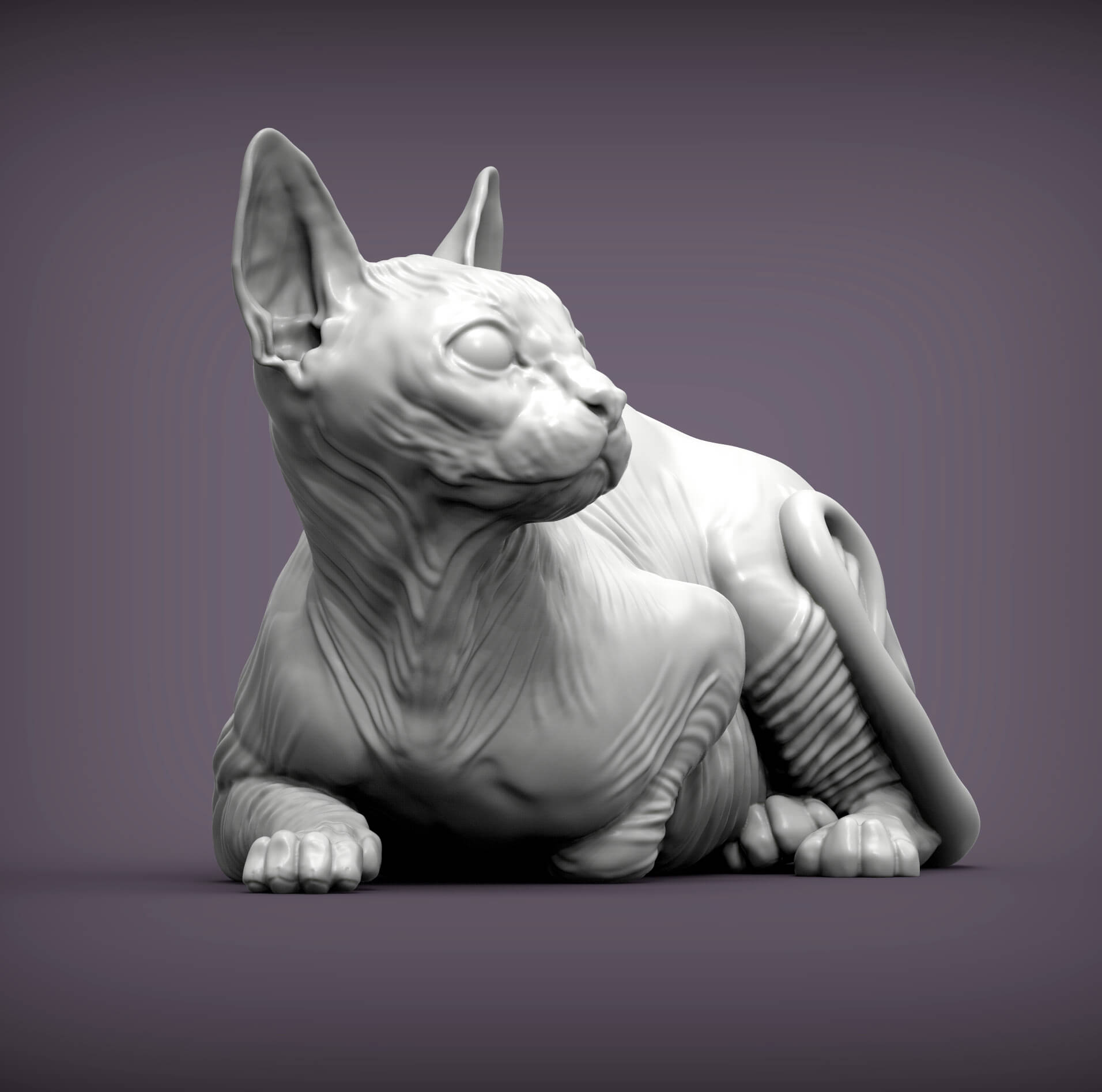 Sphynx Cat Lying 3D Print Model by Alexander3dart