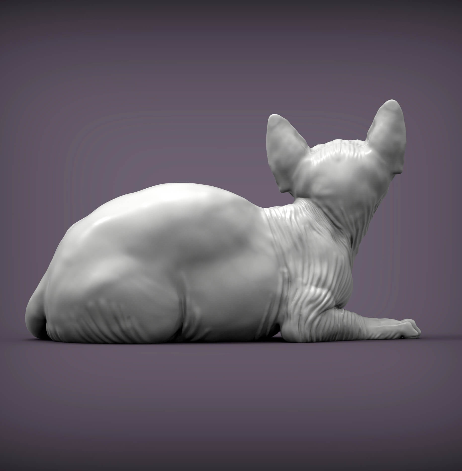 Sphynx Cat Lying - 3D Model by Alexander3dart