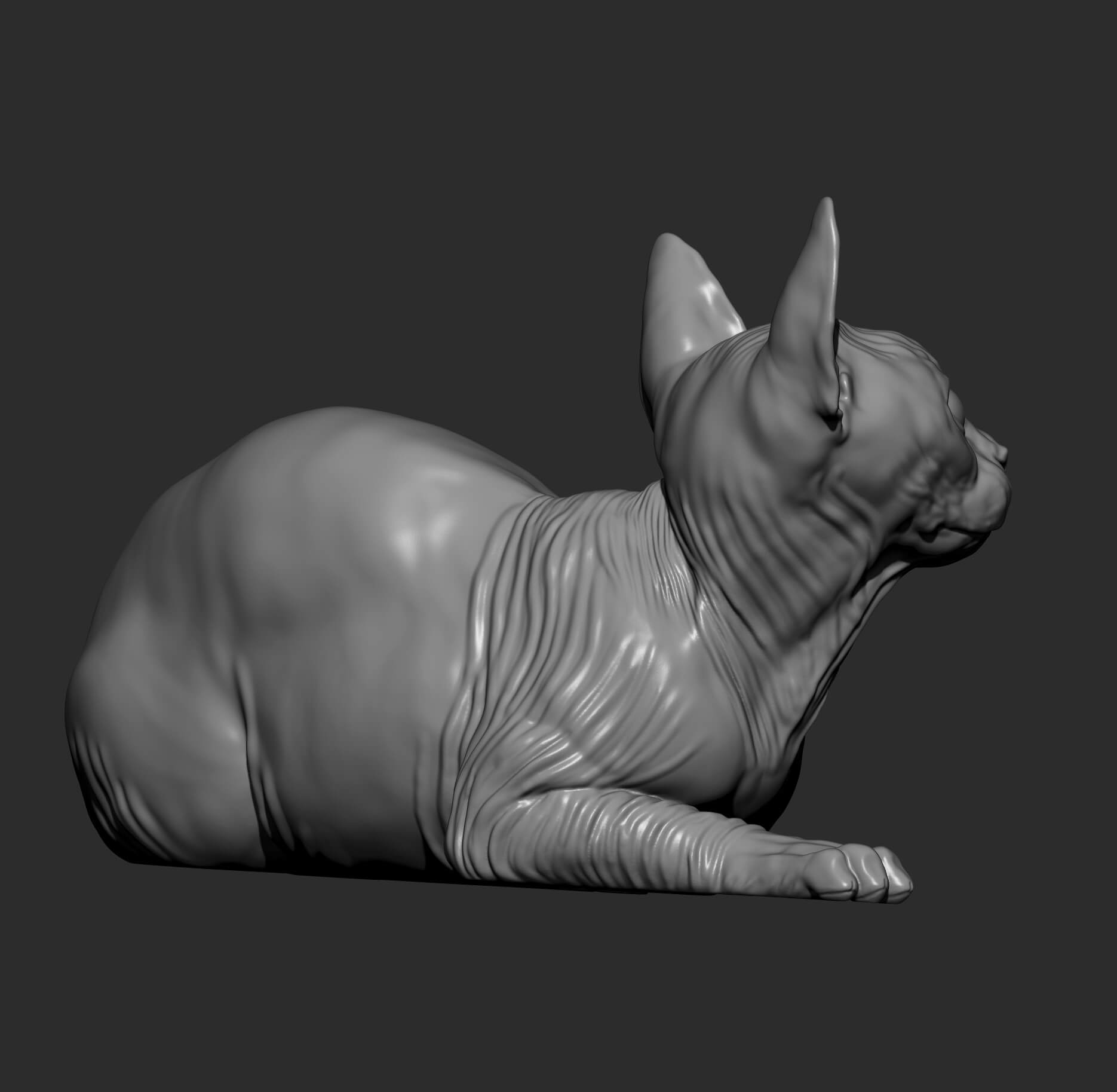 Sphynx Cat Lying - 3D Model by Alexander3dart