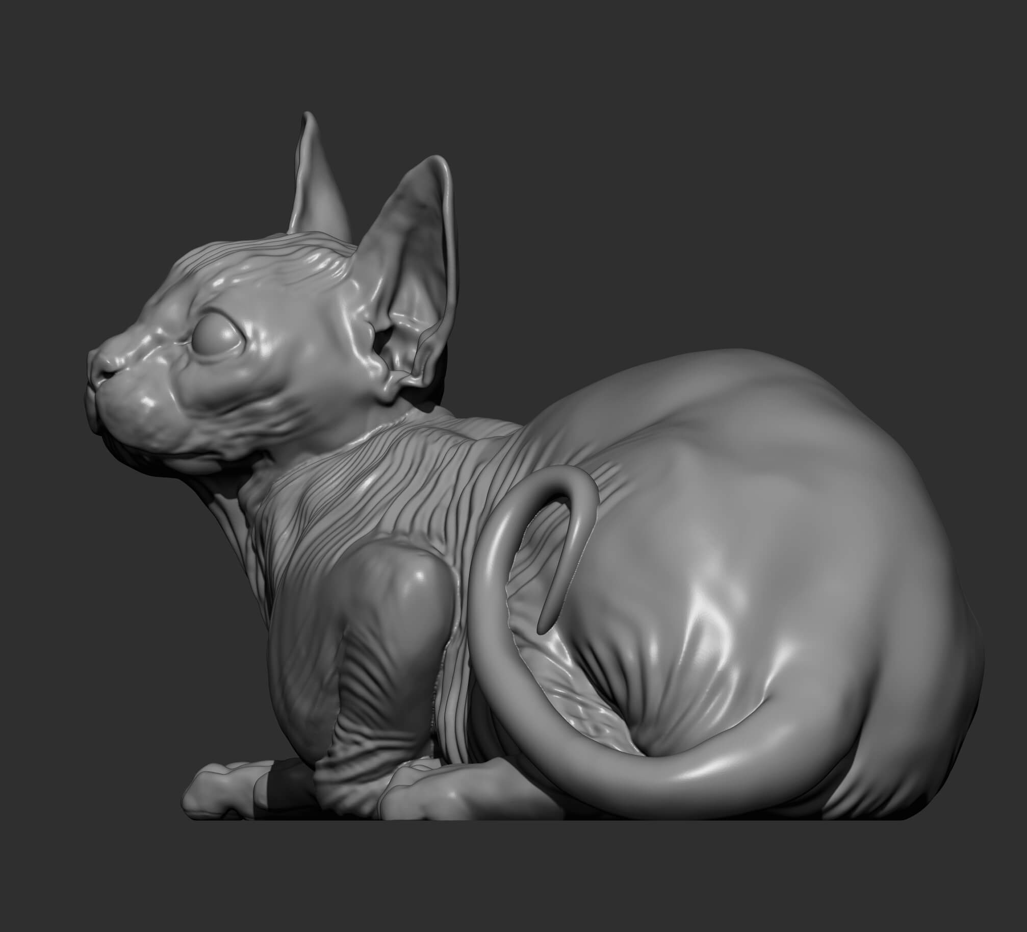 Sphynx Cat Lying - 3D Model by Alexander3dart
