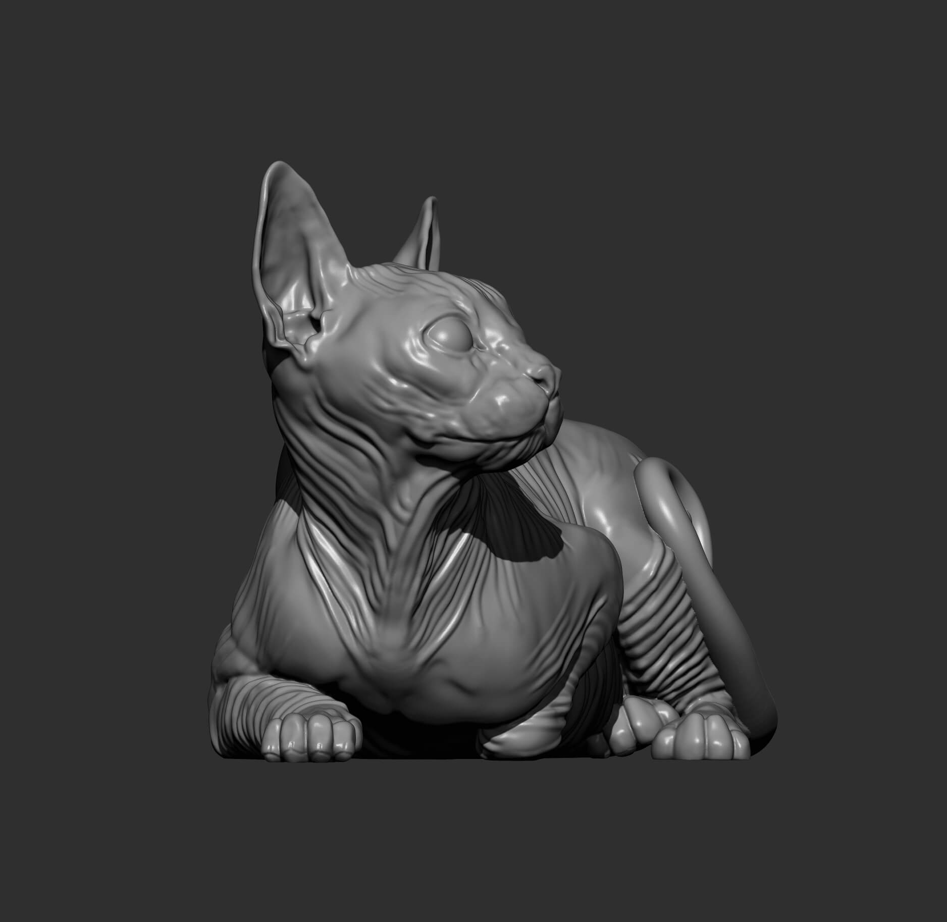 Sphynx Cat Lying - 3D Model by Alexander3dart