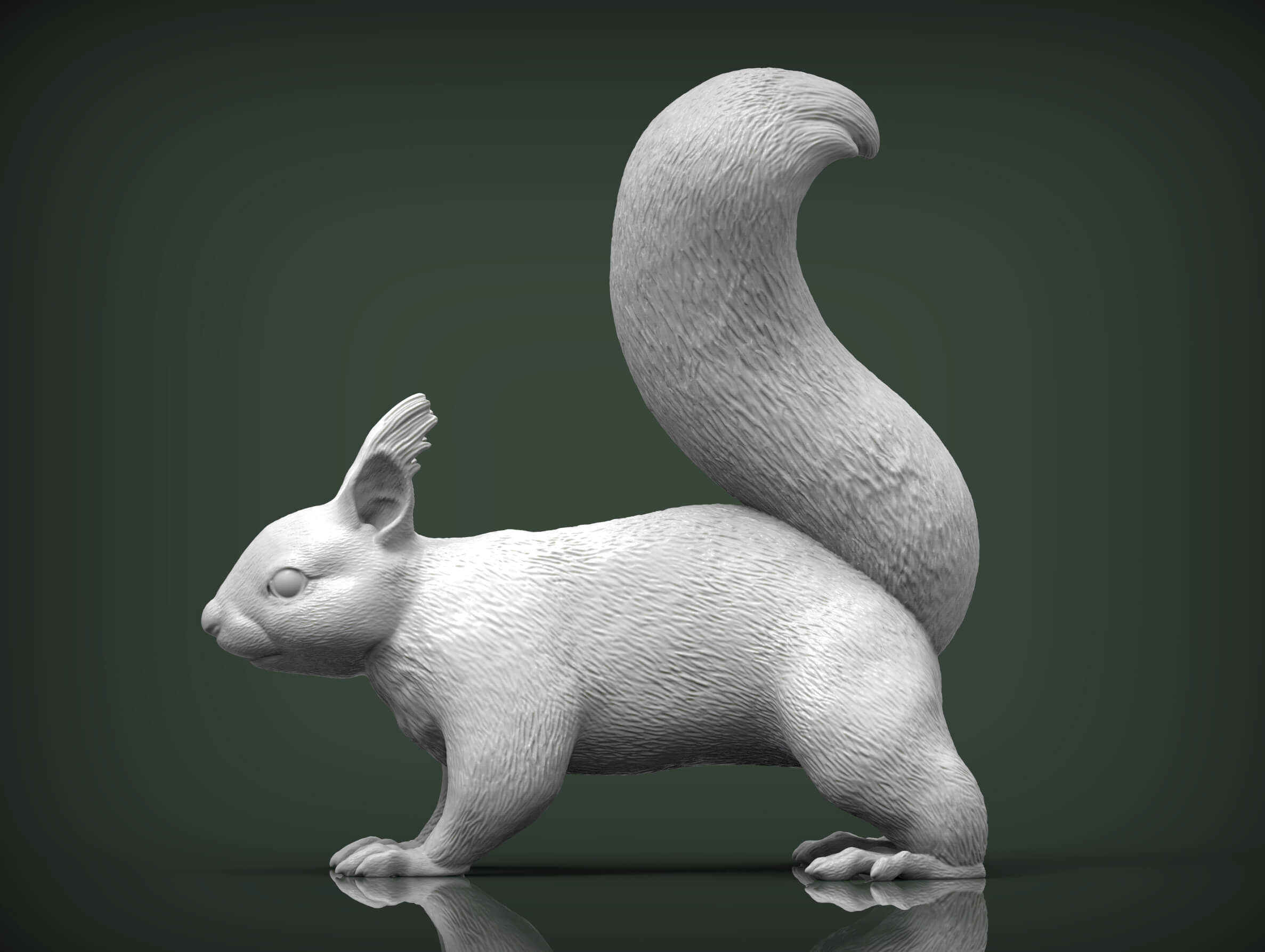 Squirrel 3D Print Model by Alexander3dart