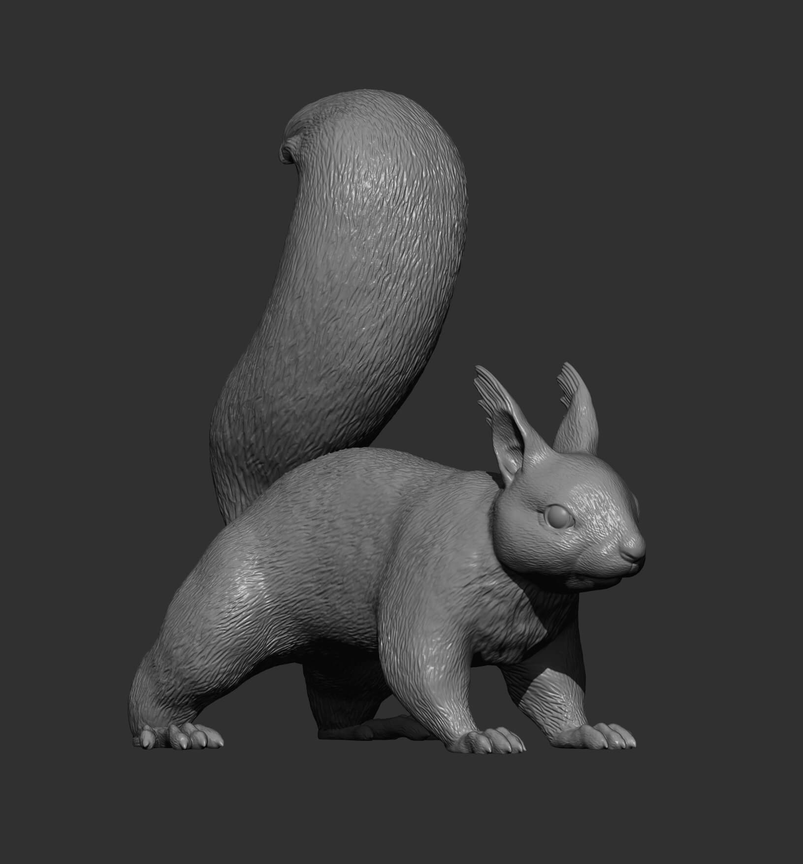 Squirrel 3D Print Model by Alexander3dart