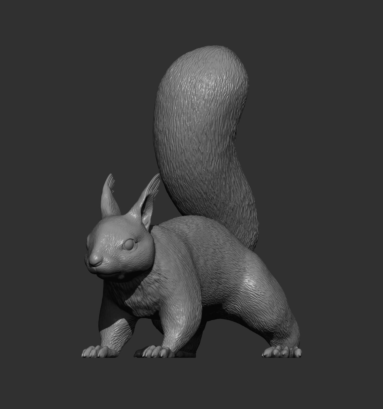 Squirrel 3D Print Model by Alexander3dart
