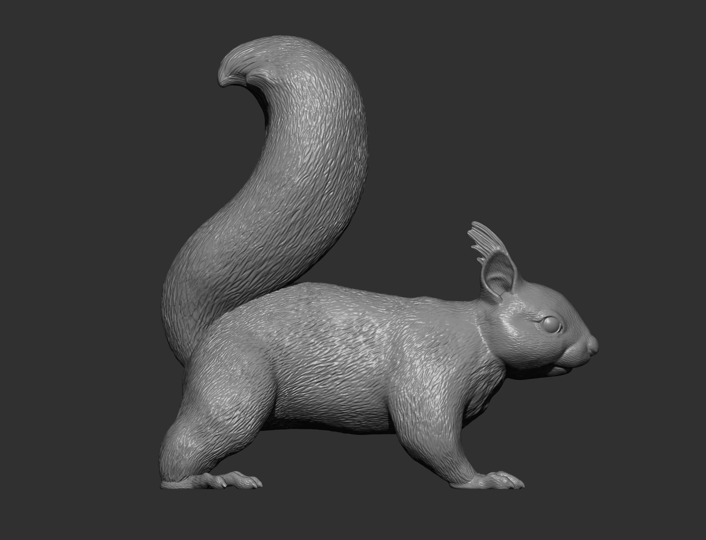 Squirrel 3D Print Model by Alexander3dart