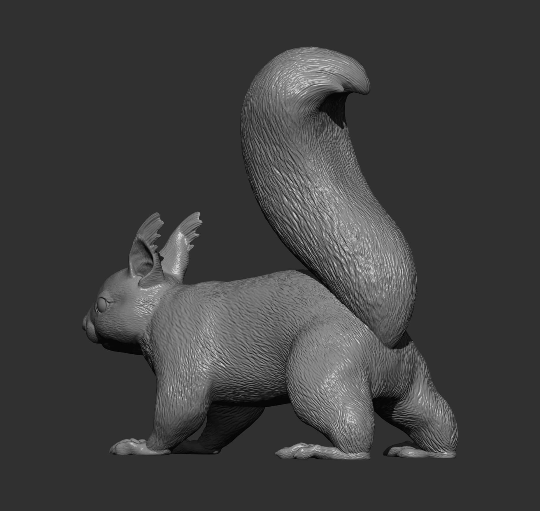 Squirrel 3D Print Model by Alexander3dart