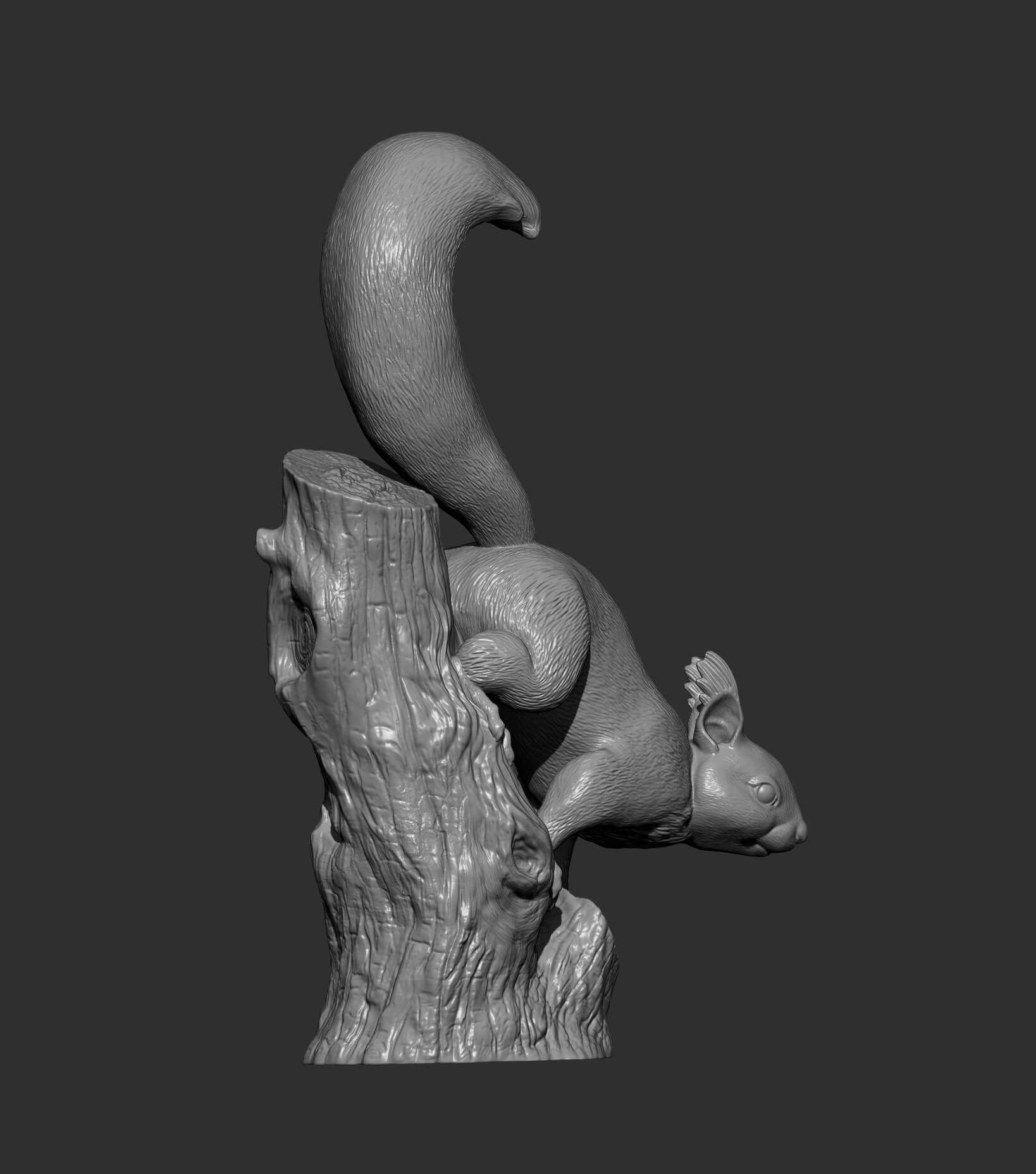 Squirrel on a Tree 3D Print Model by Alexander3dart