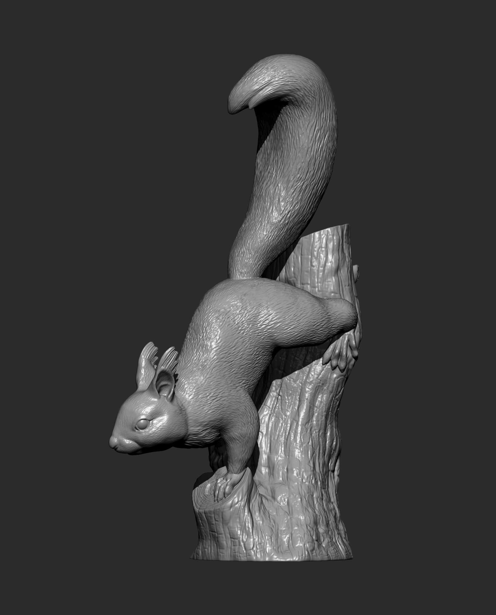 Squirrel on a Tree 3D Print Model by Alexander3dart