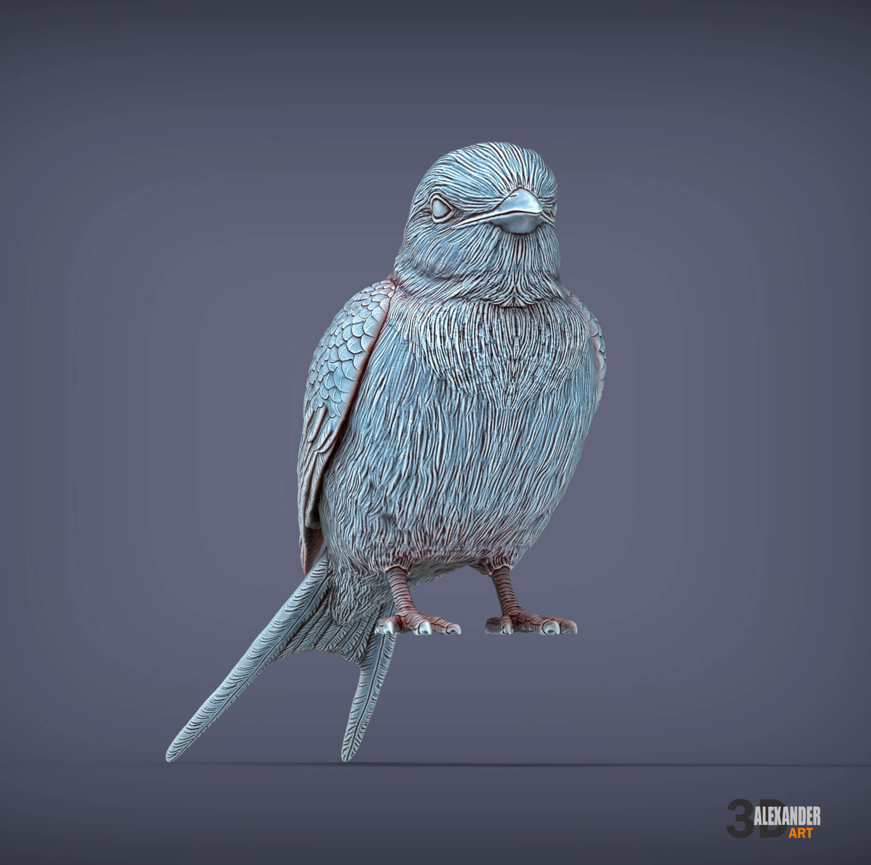 Swallow Bird - 3D Model by Alexander3dart