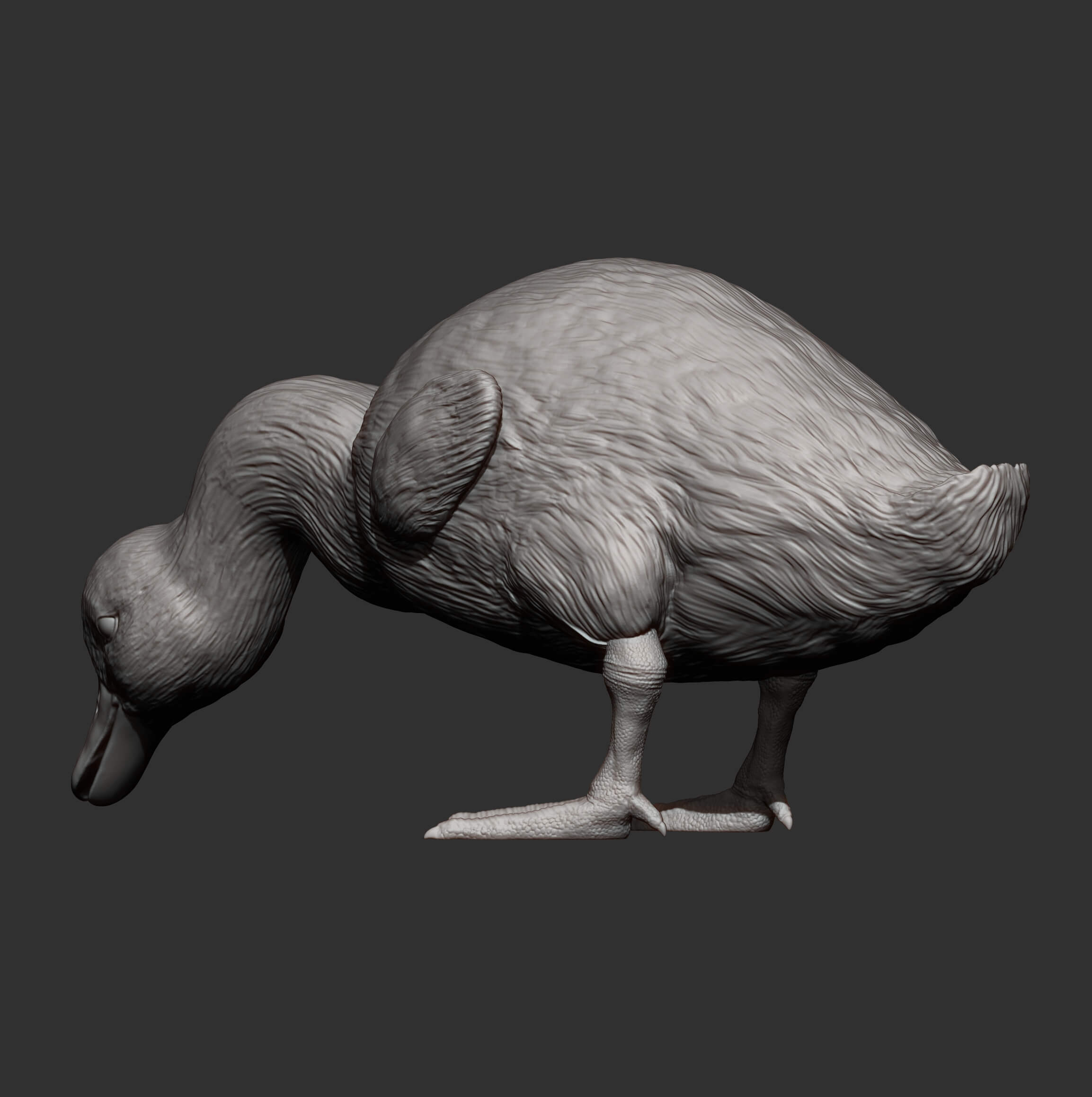 Swan Baby Eats - 3D Model by Alexander3dart