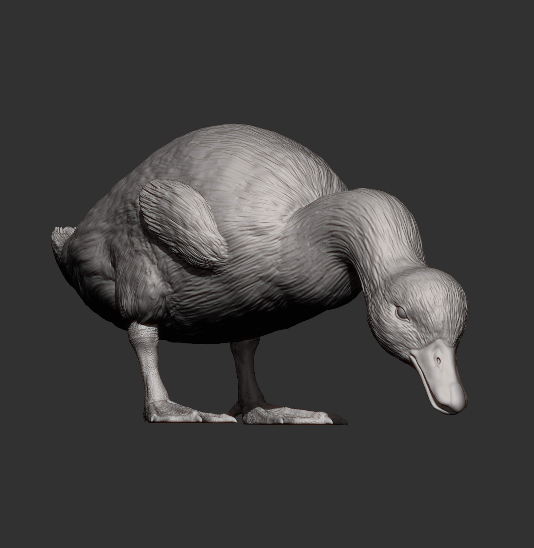 Swan Baby Eats - 3D Model by Alexander3dart