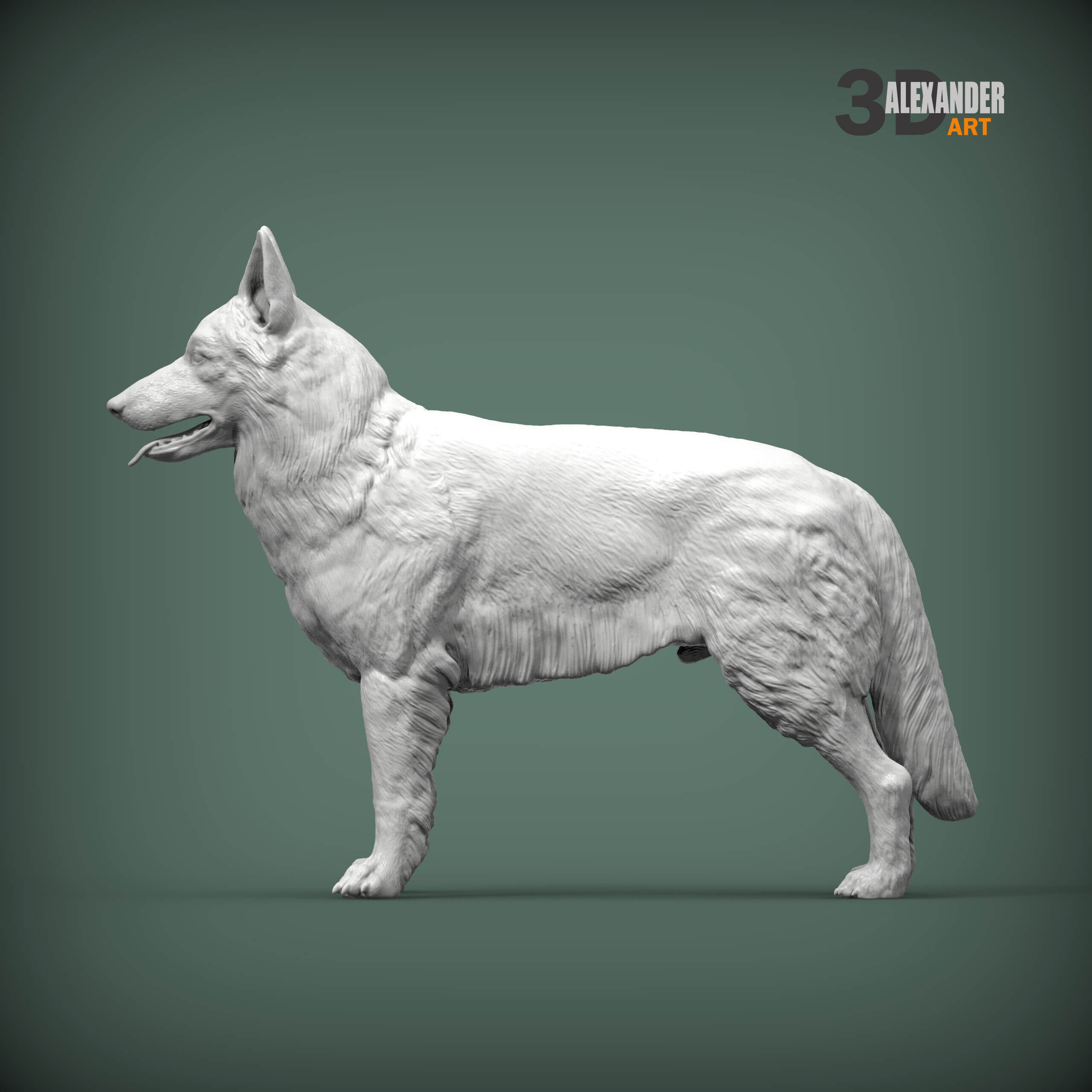 Swiss White Shepherd - 3D Model by Alexander3dart