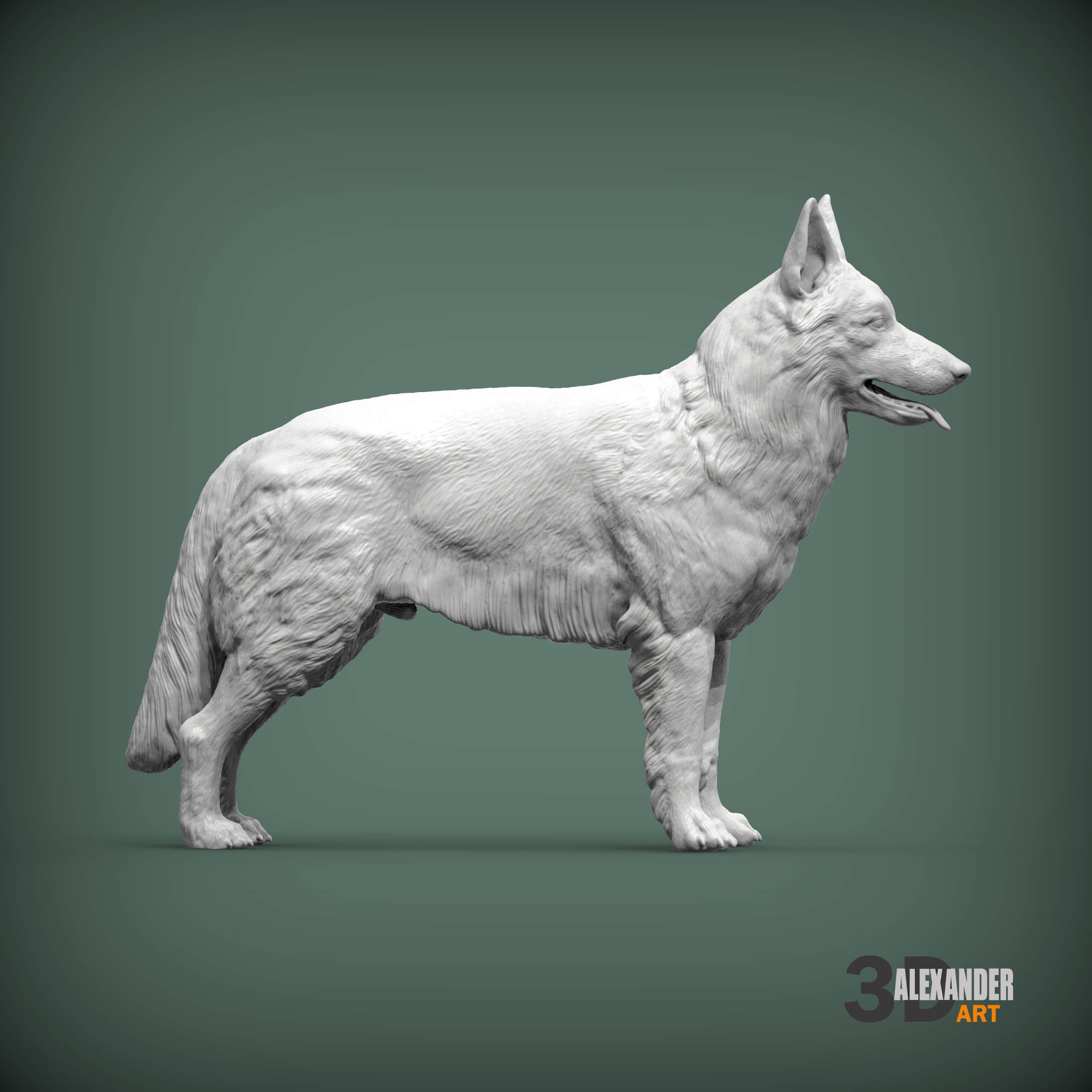 Swiss White Shepherd - 3D Model by Alexander3dart