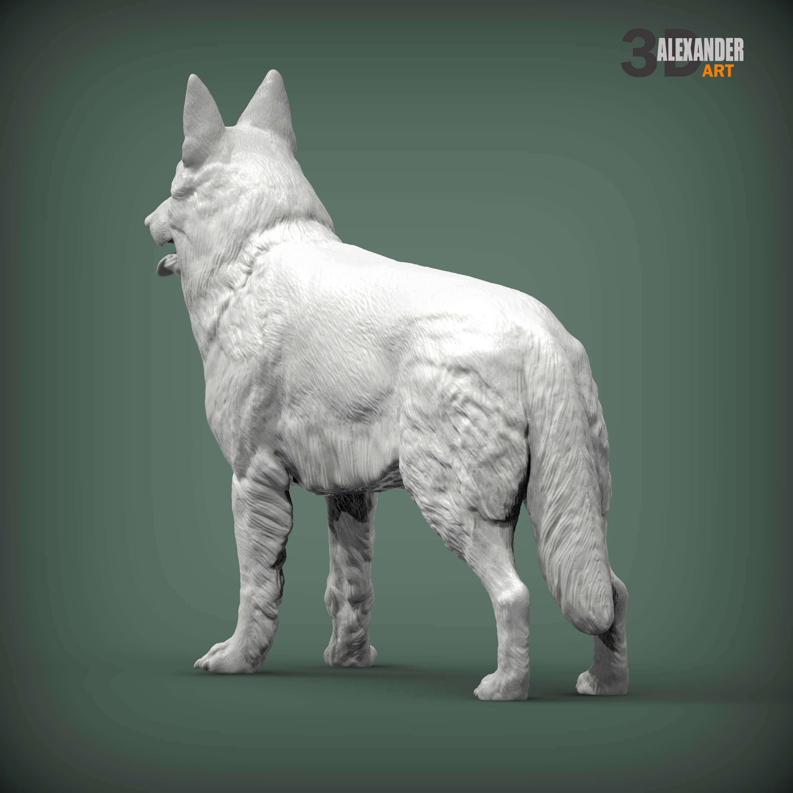 Swiss White Shepherd - 3D Model by Alexander3dart