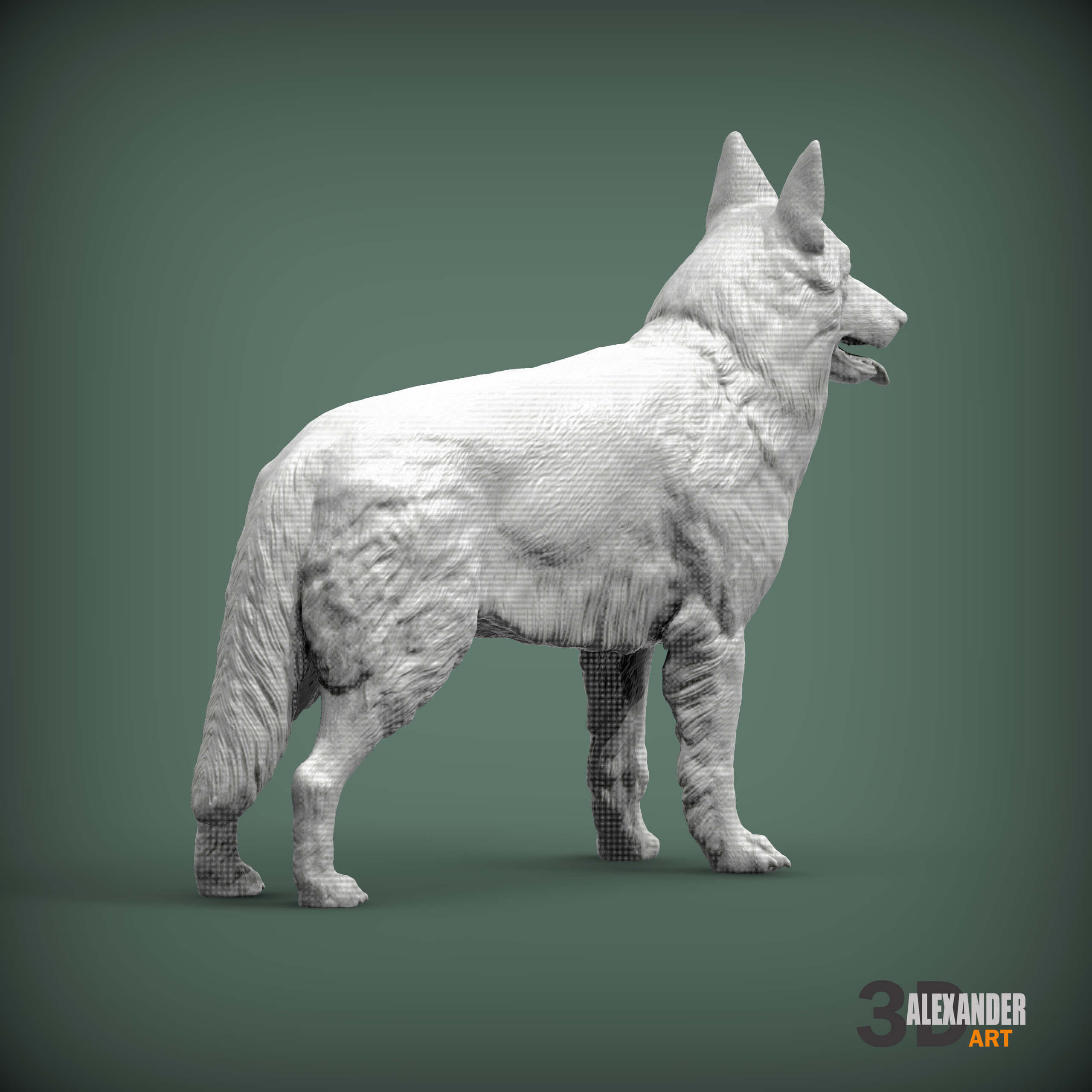Swiss White Shepherd - 3D Model by Alexander3dart