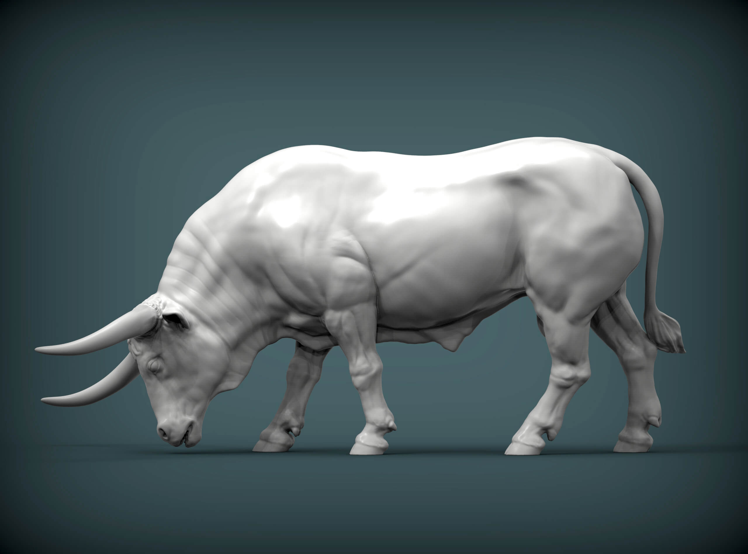 Texas Longhorn 3D Print Model by Alexander3dart