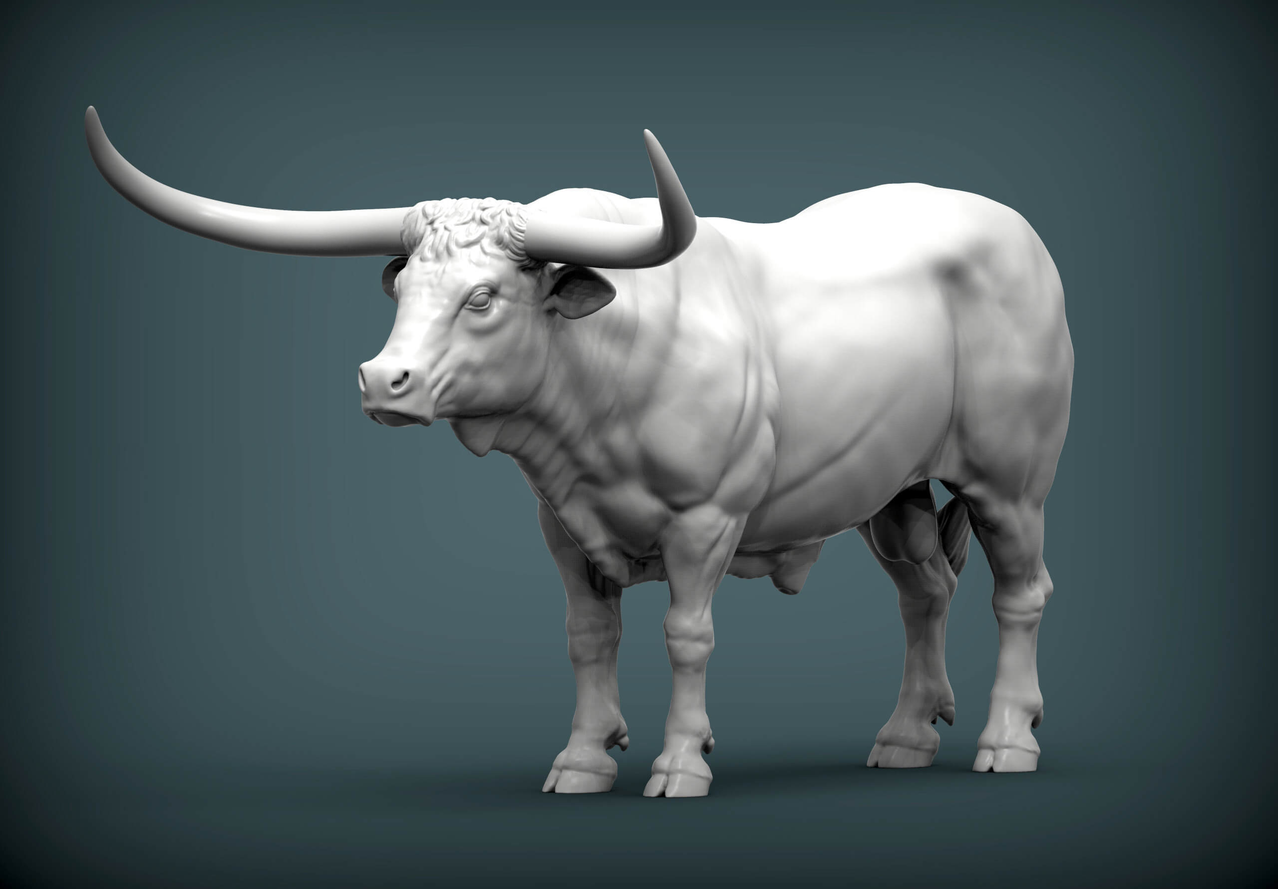 Texas Longhorn 3D Print Model by Alexander3dart