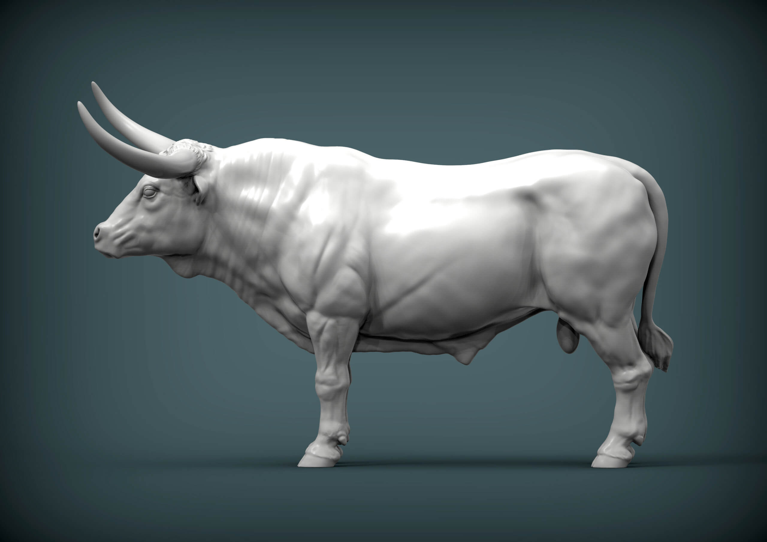 Texas Longhorn 3D Print Model by Alexander3dart