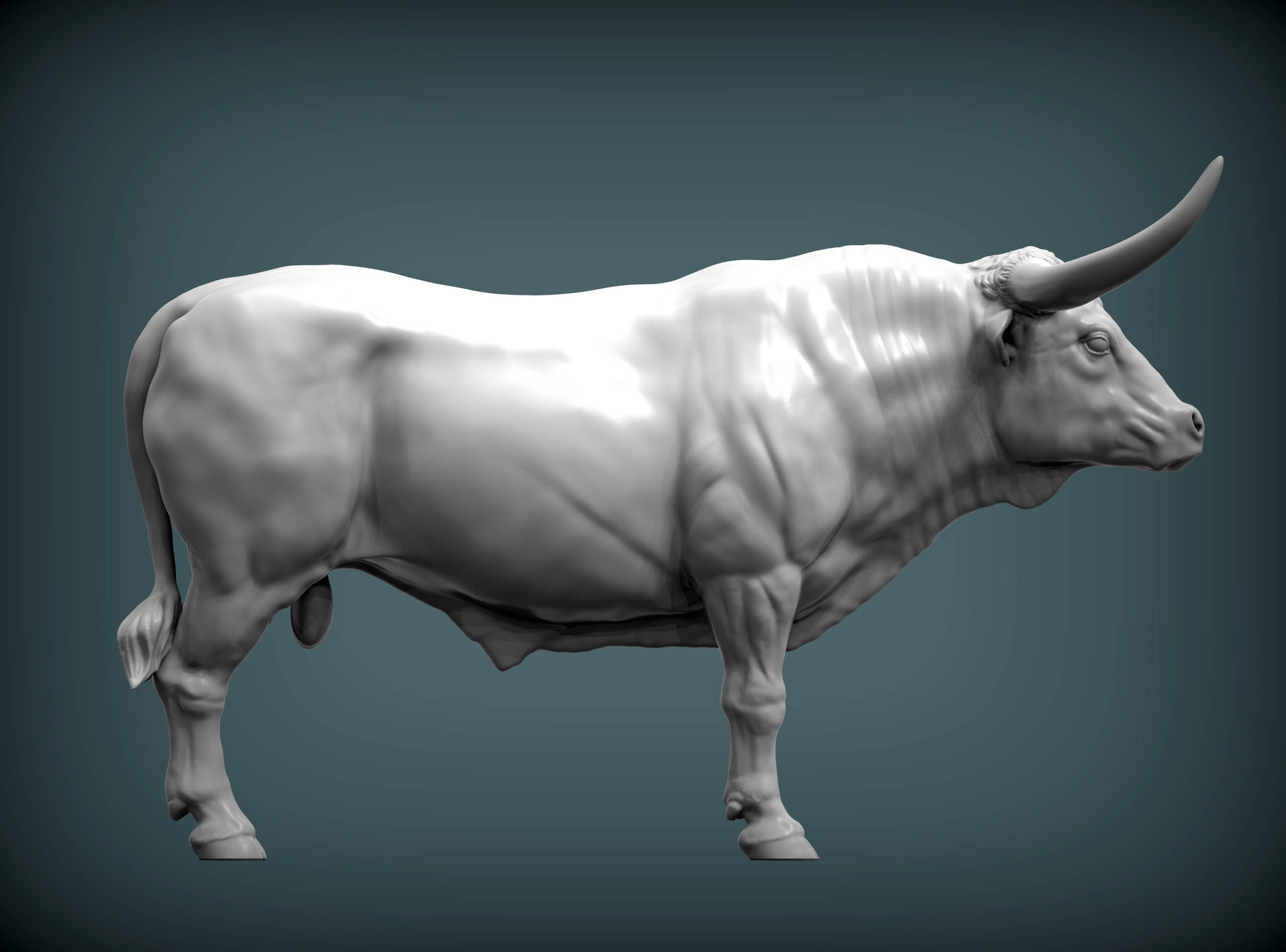 Texas Longhorn 3D Print Model by Alexander3dart