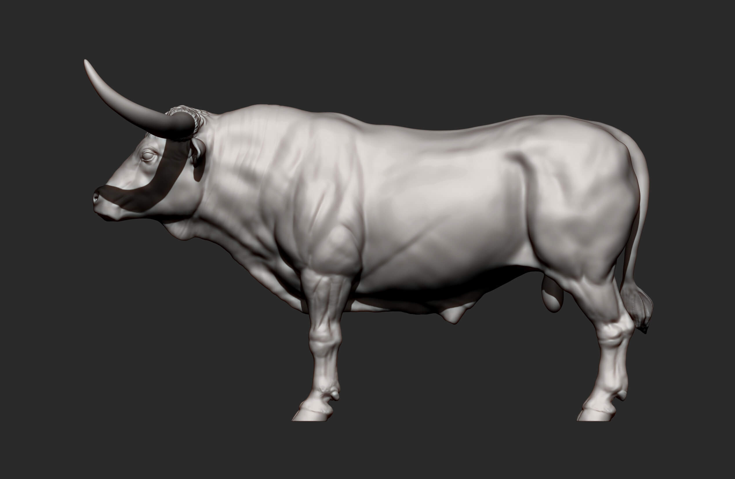 Texas Longhorn 3D Print Model by Alexander3dart