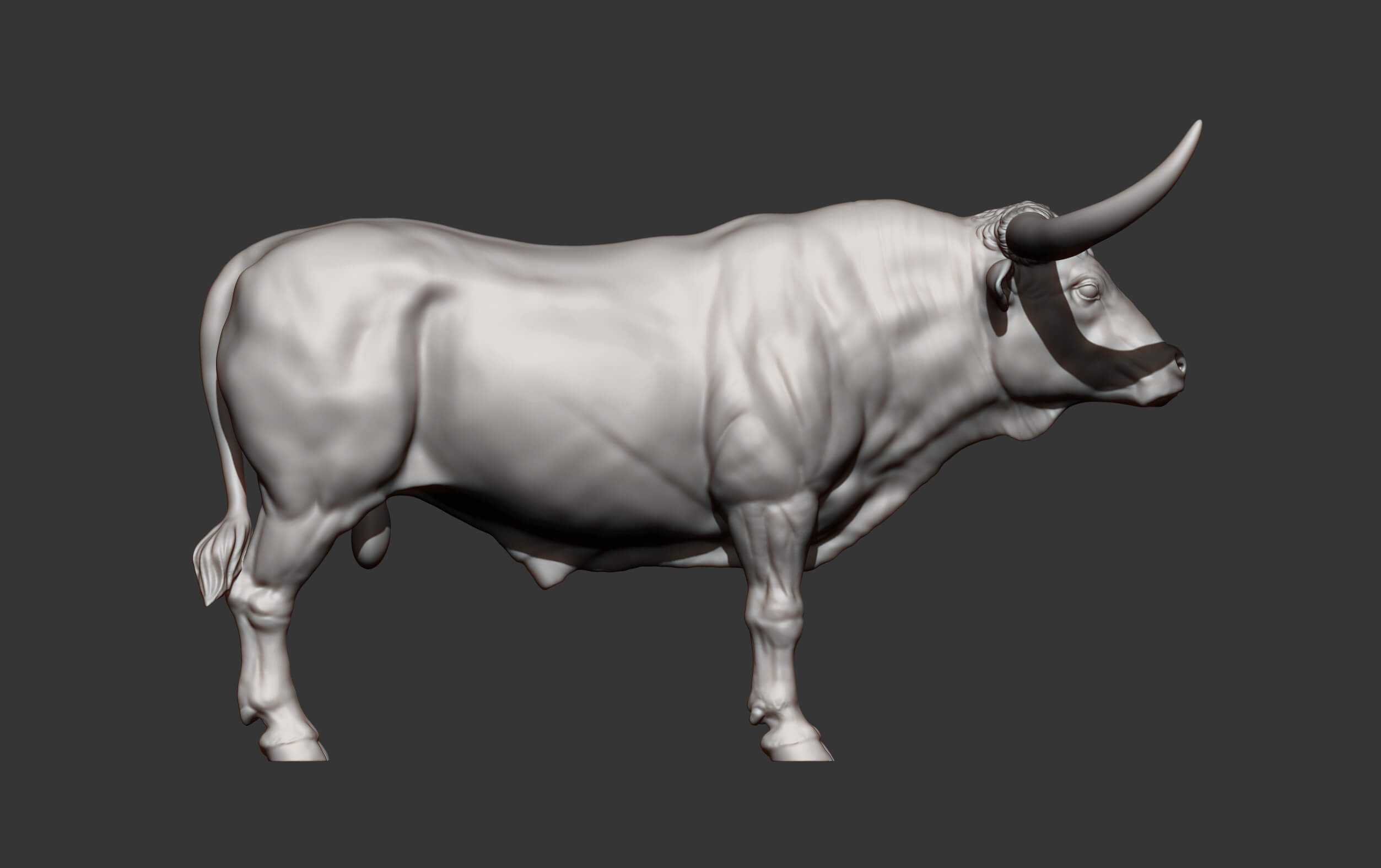 Texas Longhorn 3D Print Model by Alexander3dart