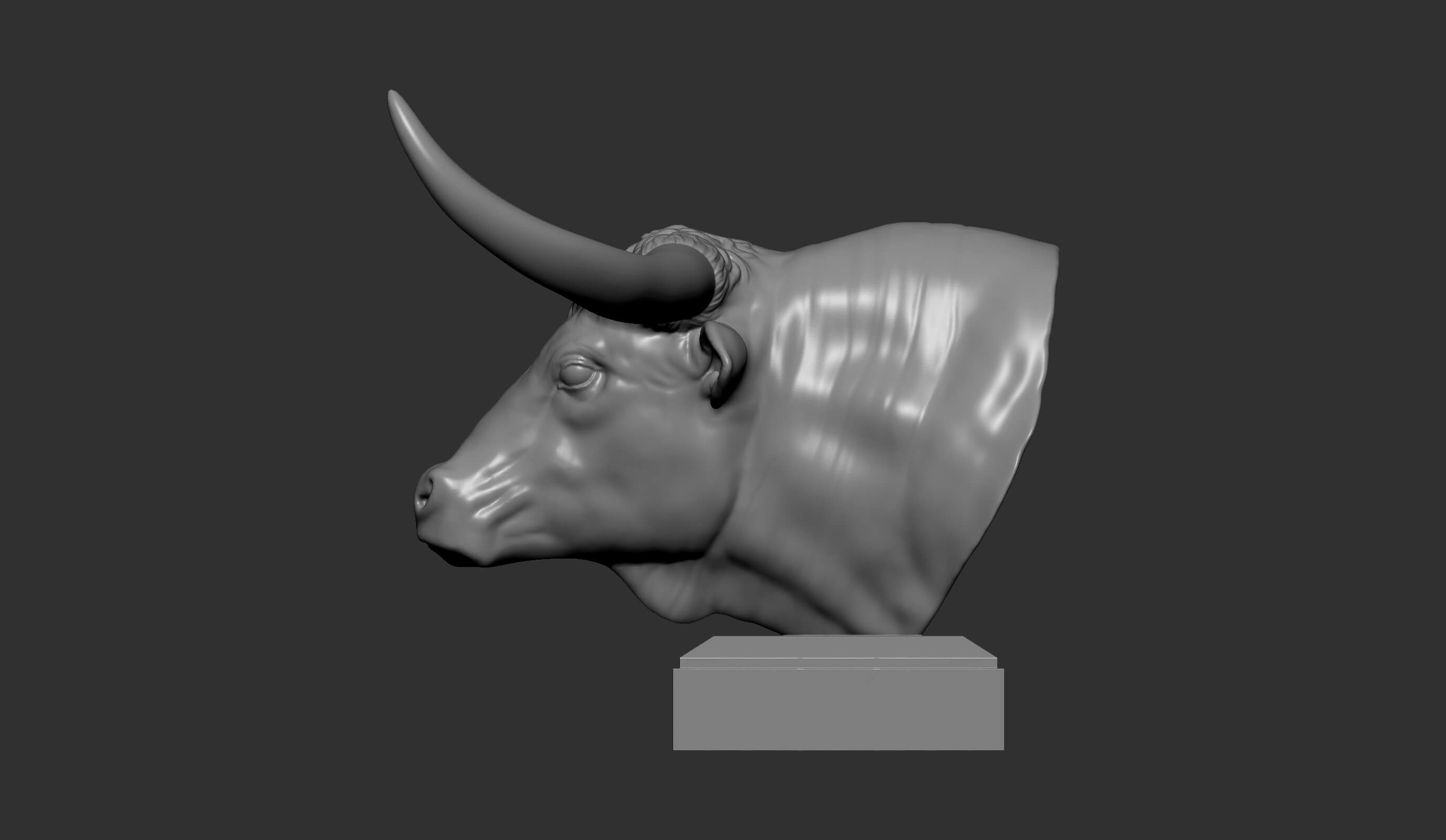 Texas Longhorn Bust - 3D Model by Alexander3dart