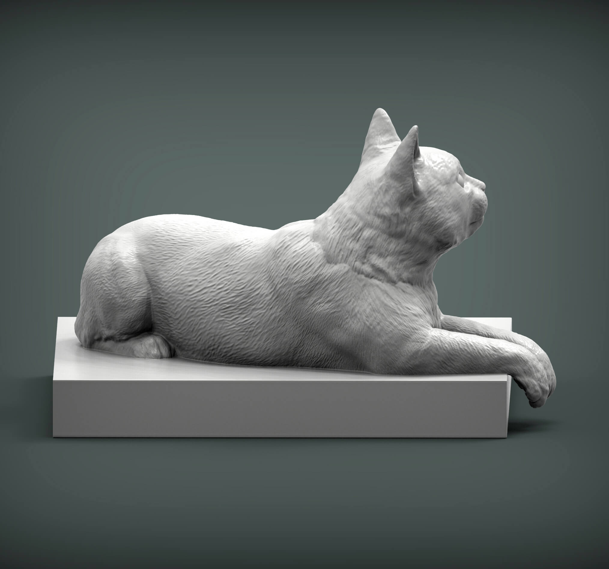 The Cat Is Lying on The Edge - 3D Model by Alexander3dart