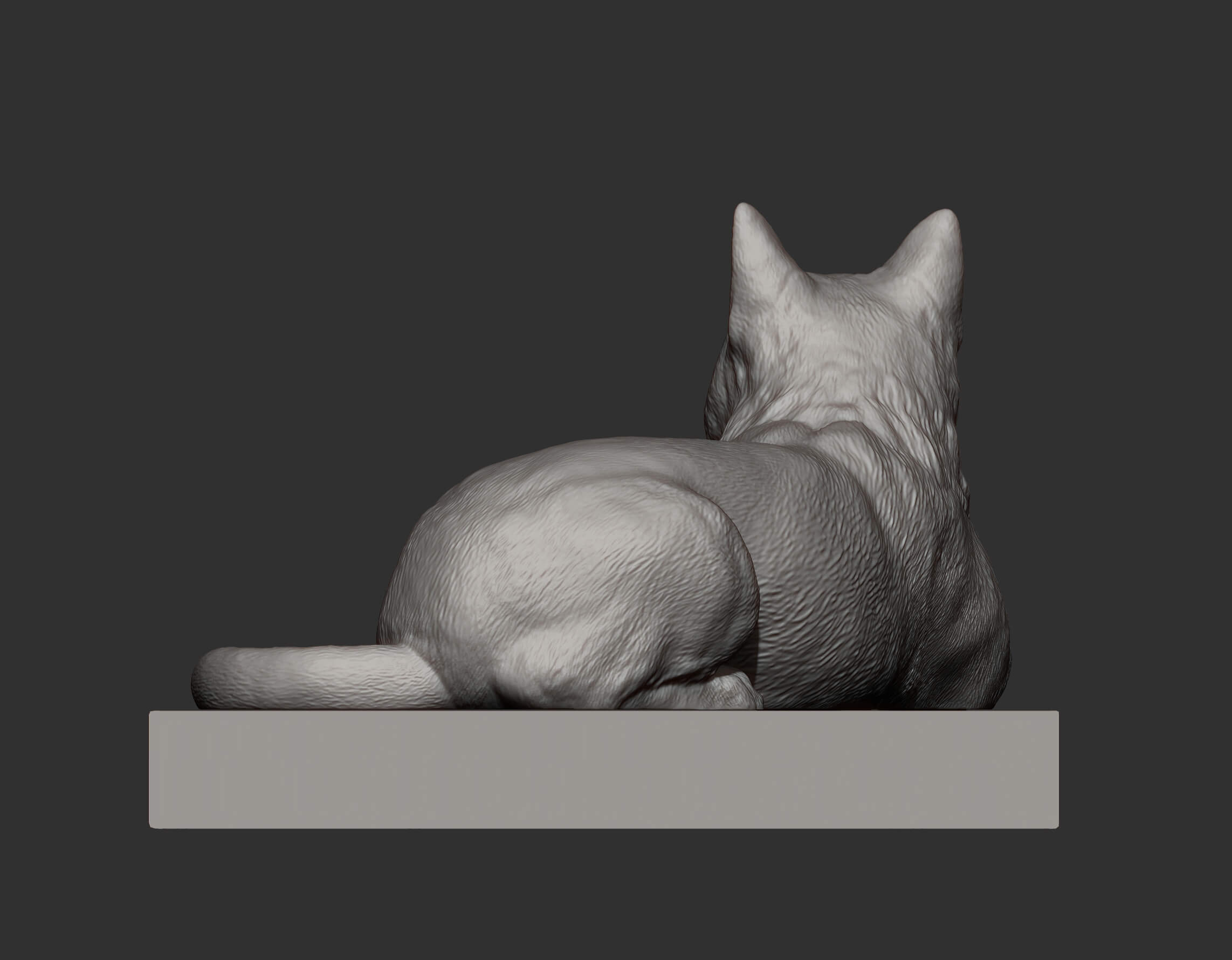 The Cat Is Lying on The Edge - 3D Model by Alexander3dart