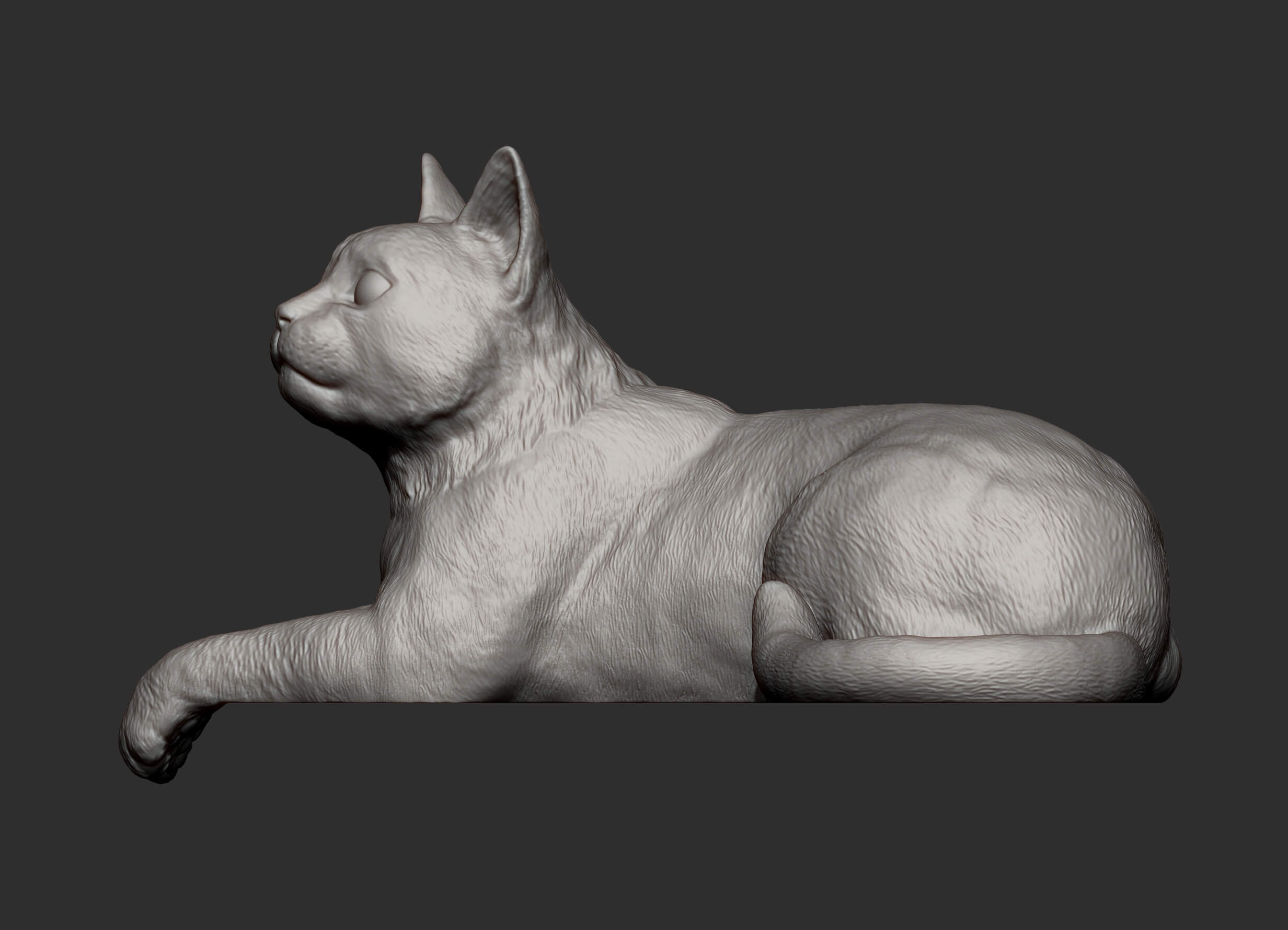 The Cat Is Lying on The Edge - 3D Model by Alexander3dart