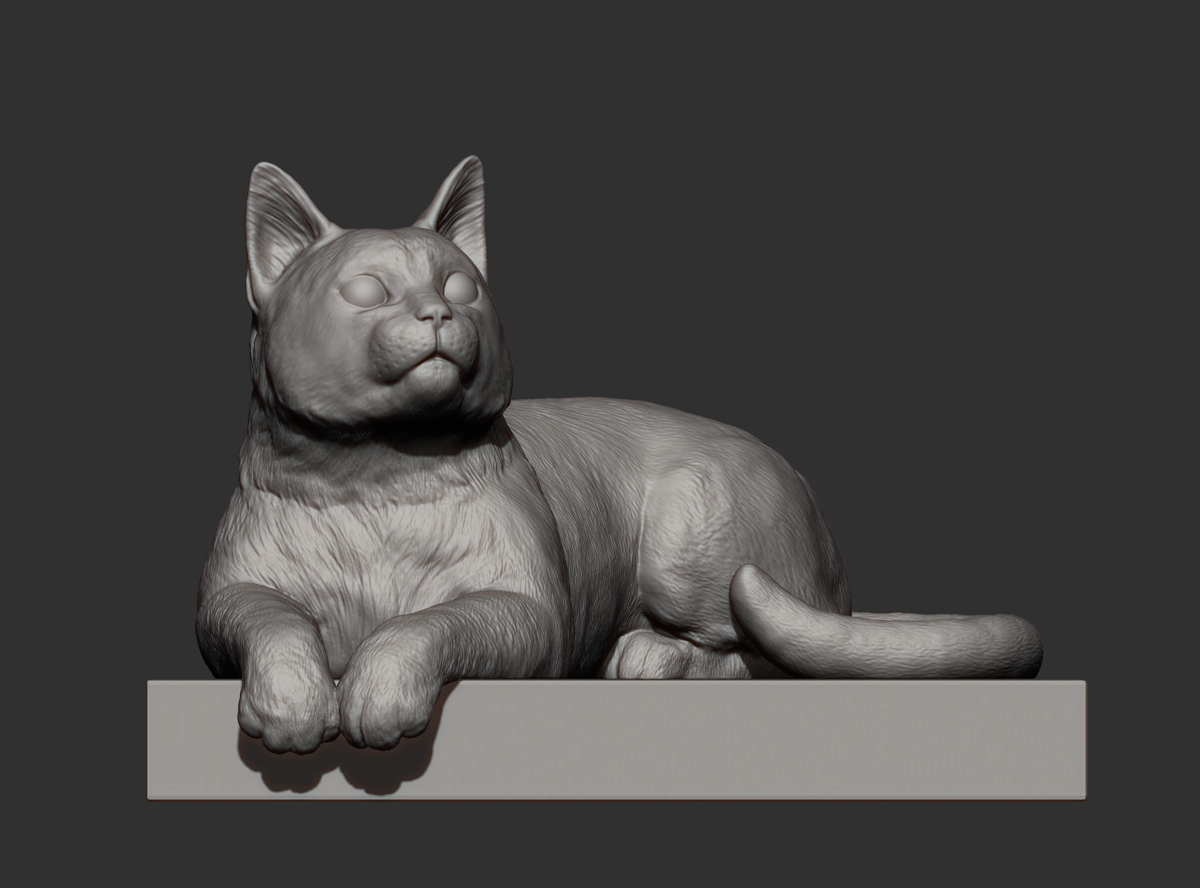 The Cat Is Lying on The Edge 3D Print Model by Alexander3dart