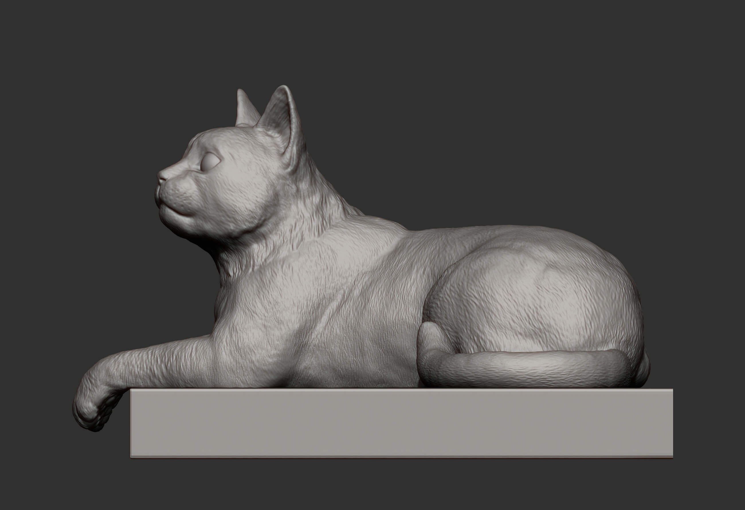 The Cat Is Lying on The Edge - 3D Model by Alexander3dart