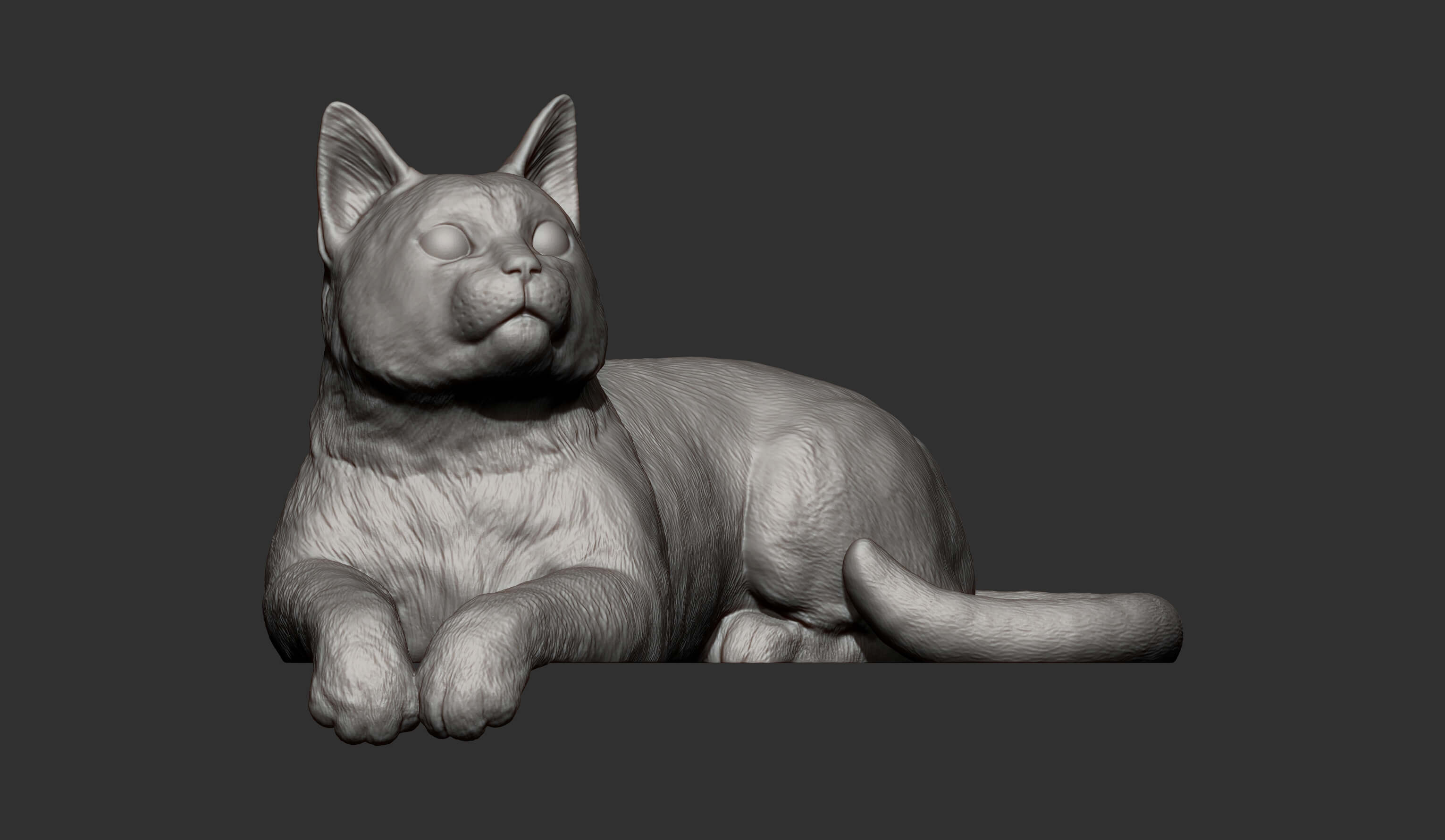 The Cat Is Lying on The Edge 3D Print Model by Alexander3dart