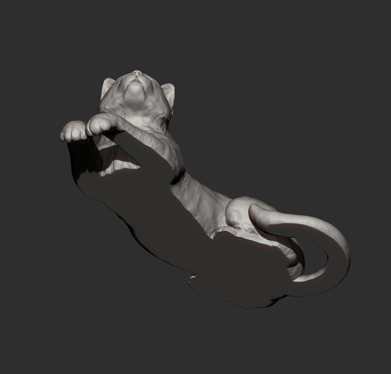 The Cat Is Lying on The Edge - 3D Model by Alexander3dart