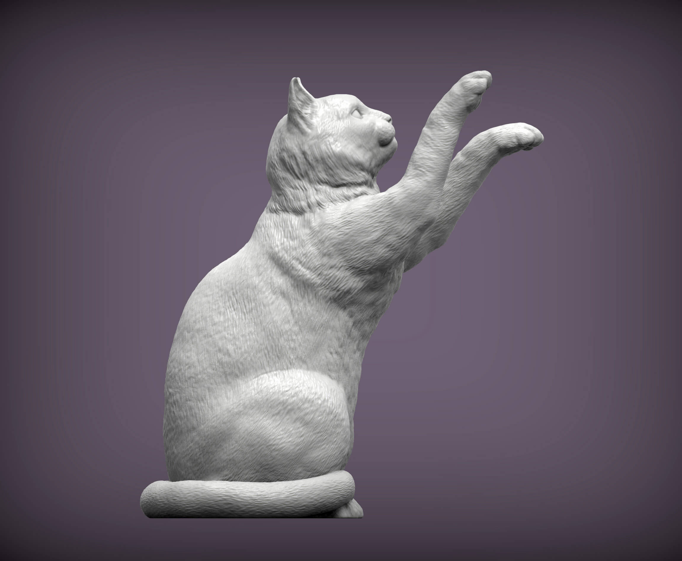 The Cat Sits on Its Hind Legs 3D Print Model by Alexander3dart
