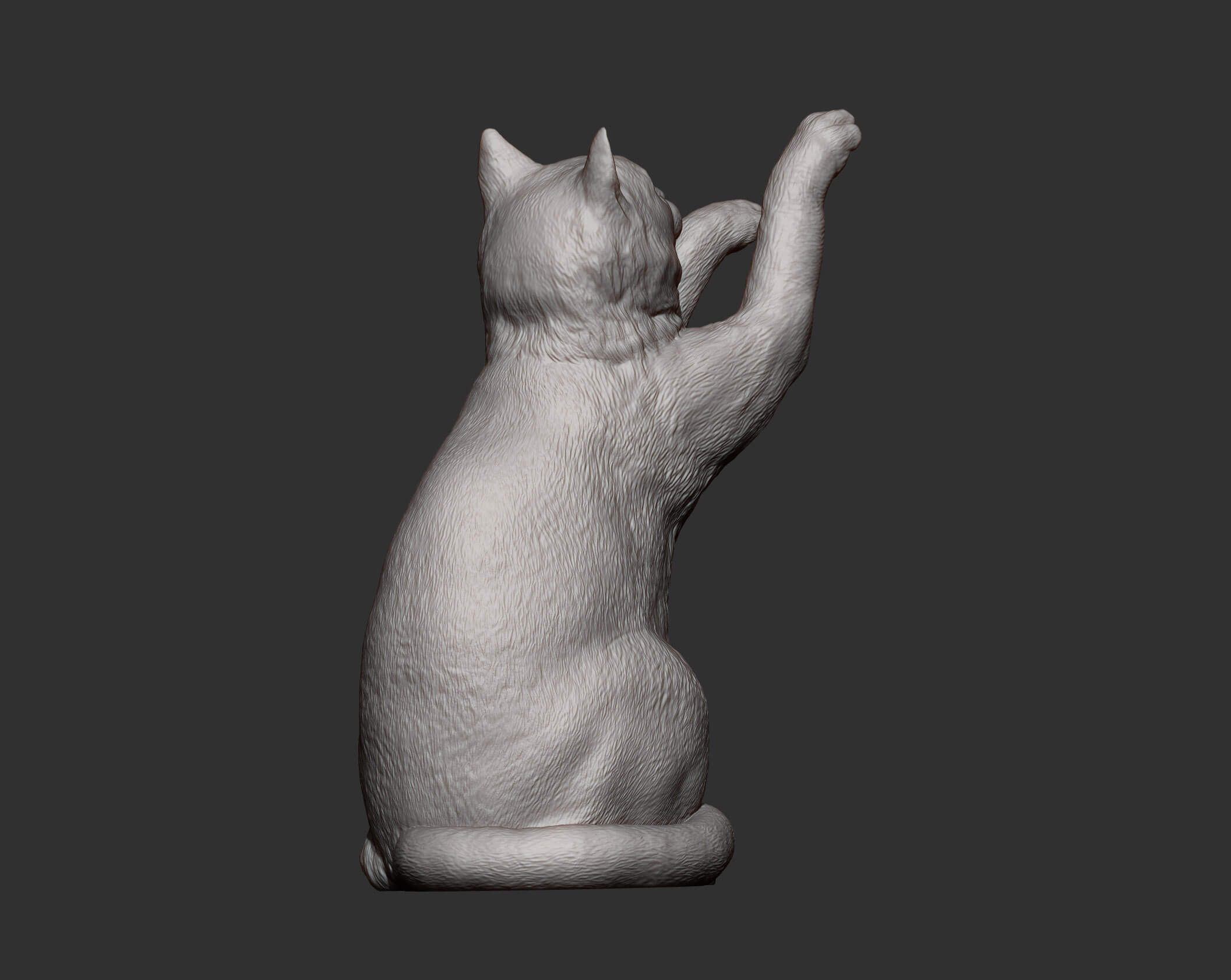 The Cat Sits on Its Hind Legs 3D Print Model by Alexander3dart