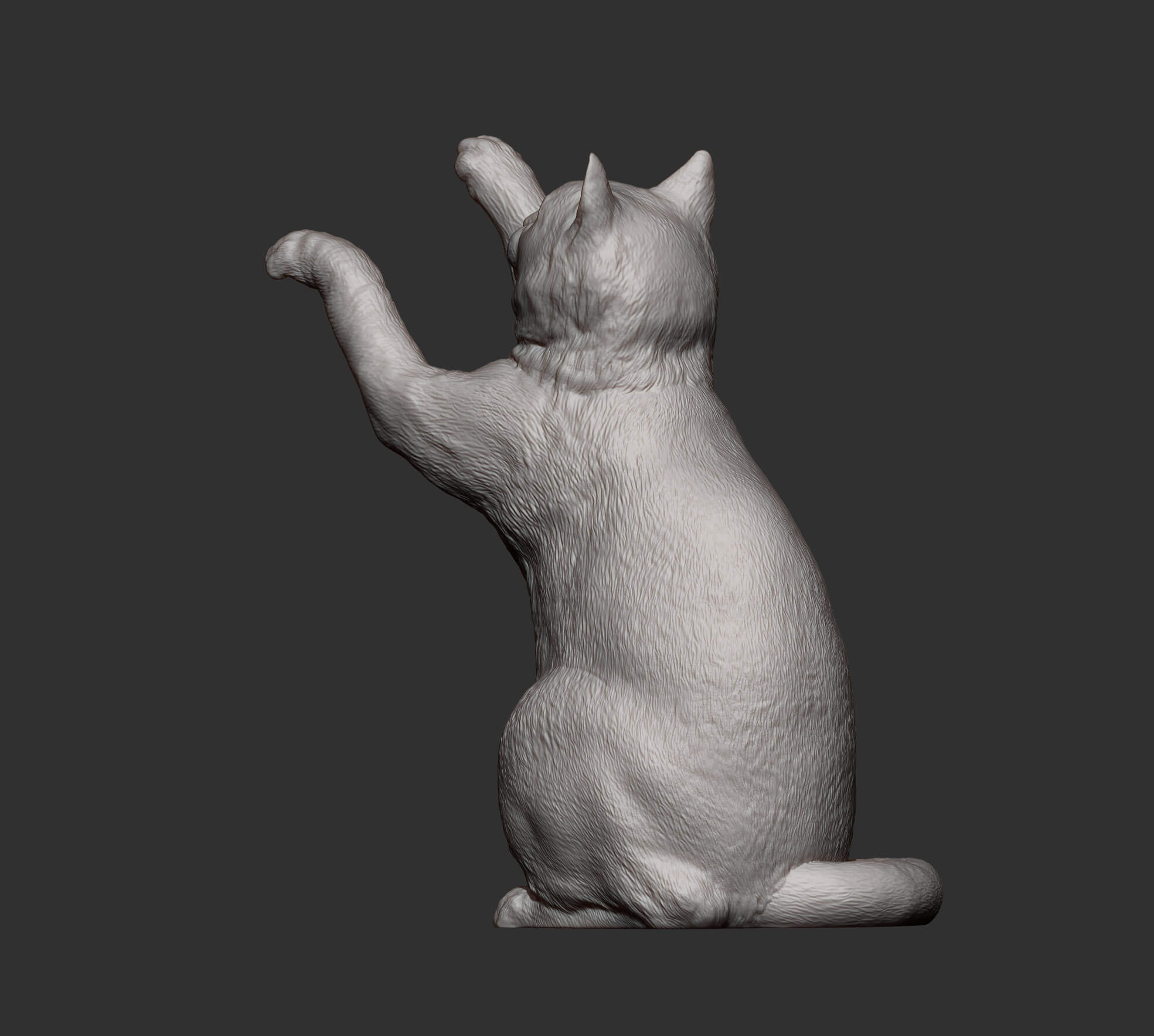 The Cat Sits on Its Hind Legs 3D Print Model by Alexander3dart