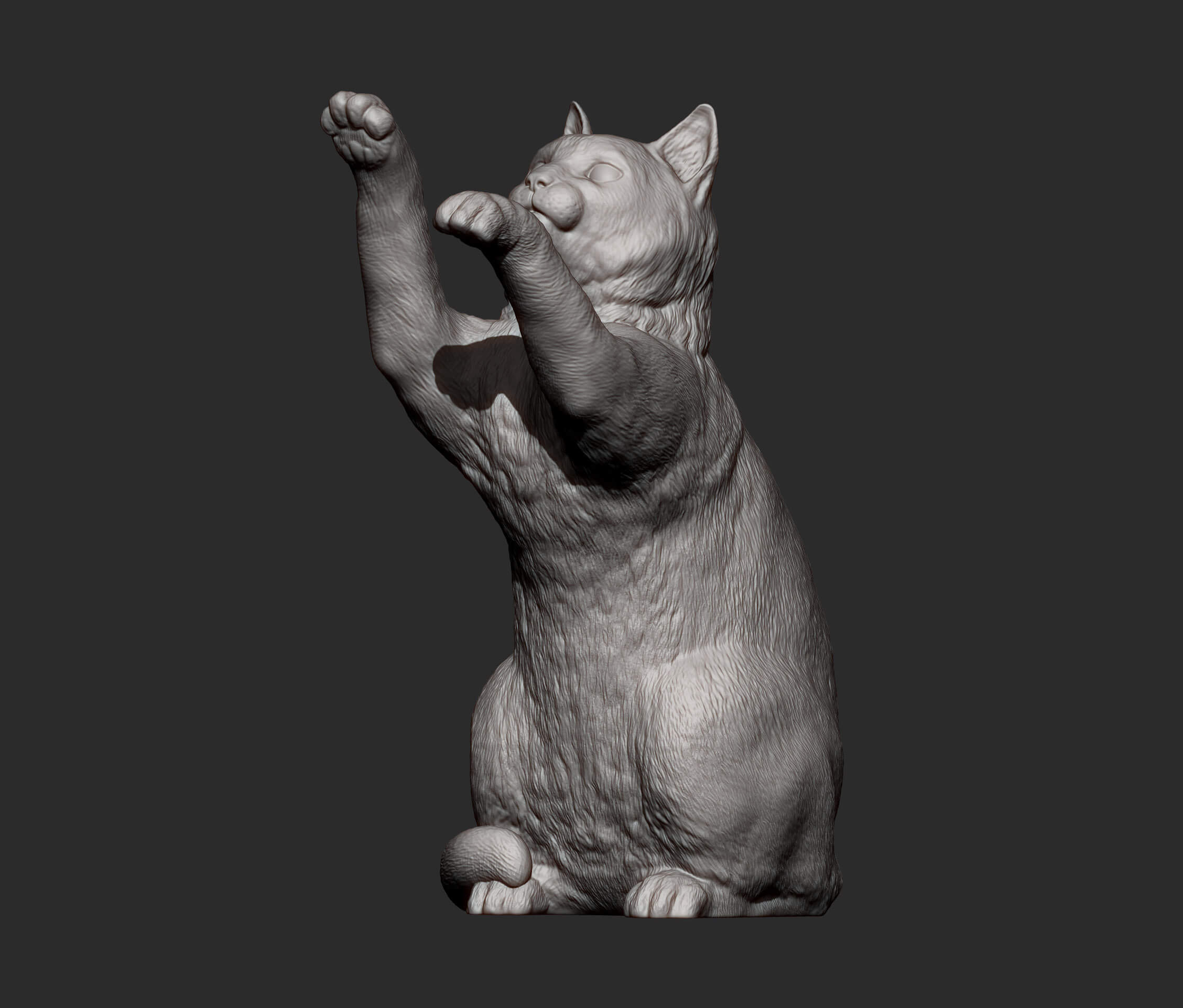 The Cat Sits on Its Hind Legs 3D Print Model by Alexander3dart