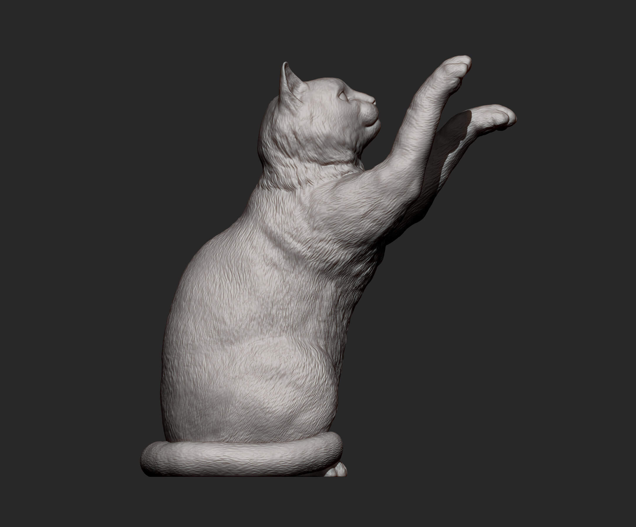 The Cat Sits on Its Hind Legs 3D Print Model by Alexander3dart